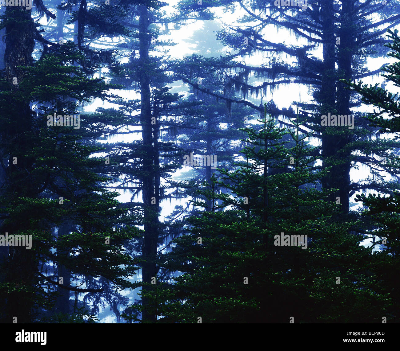 Bama county hi-res stock photography and images - Alamy