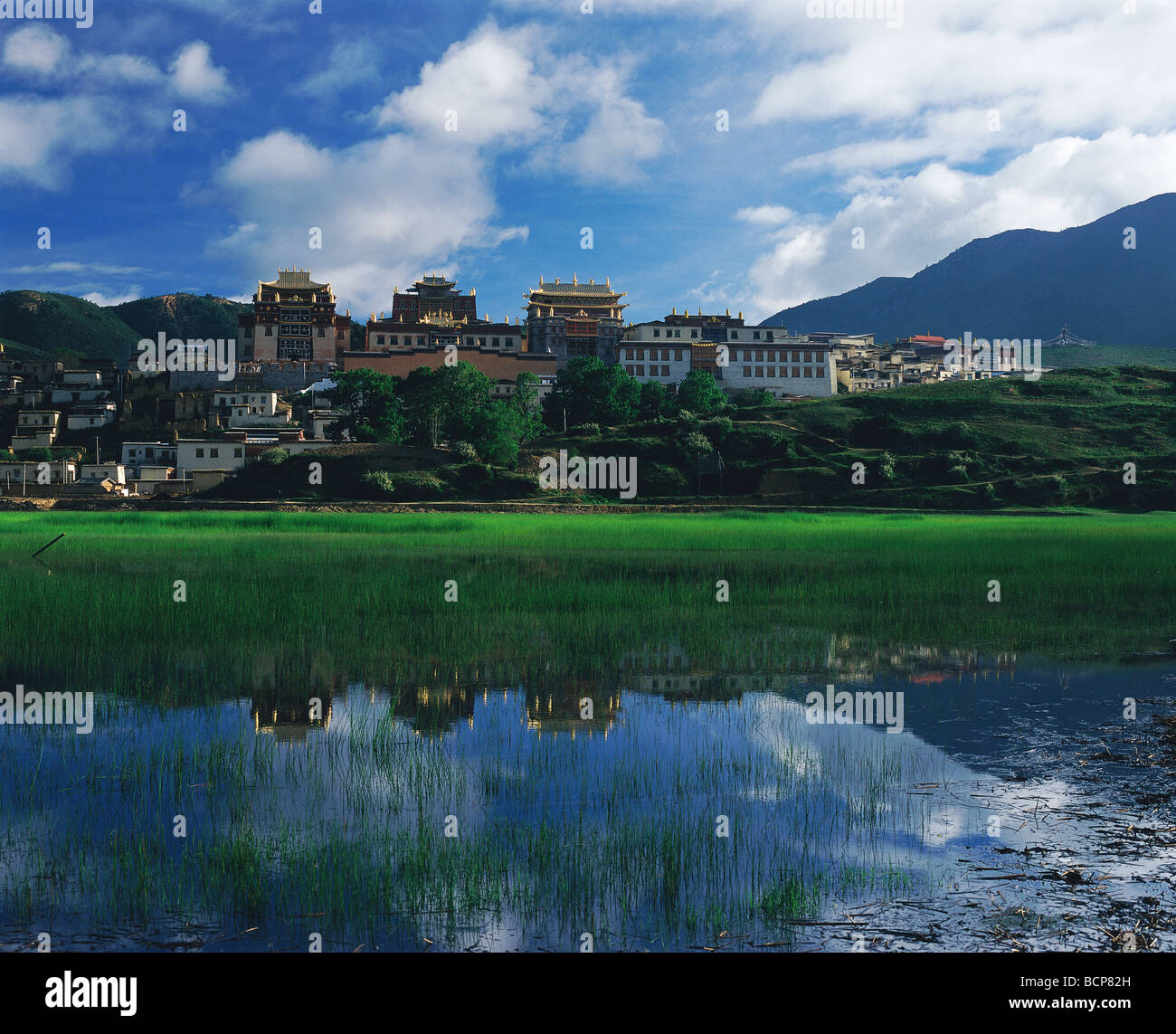 Gadan hi-res stock photography and images - Alamy