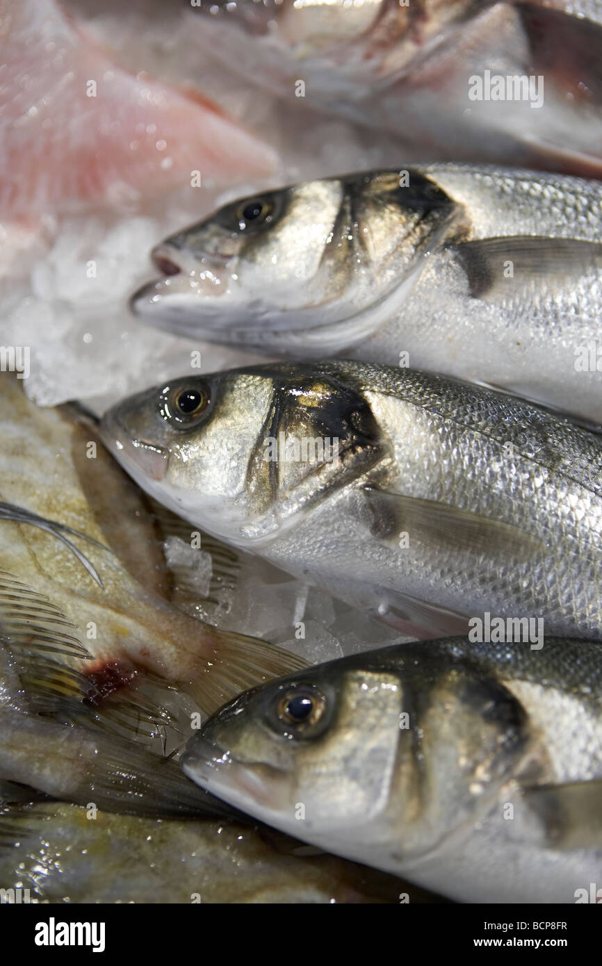fish on display on ice on a fishmongers stall Stock Photo - Alamy