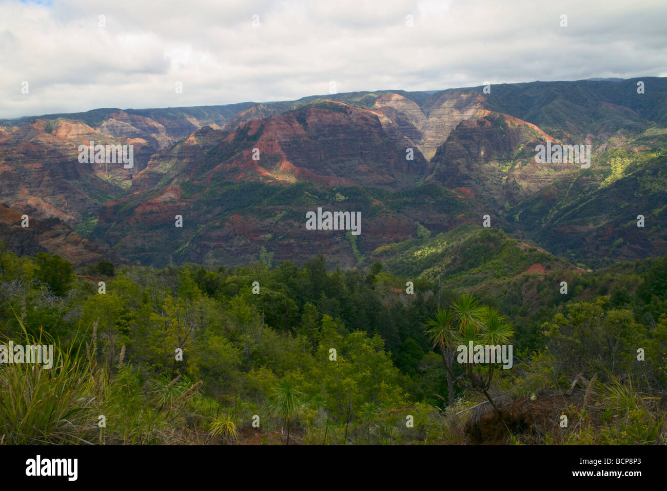 Nature loop hi-res stock photography and images - Alamy