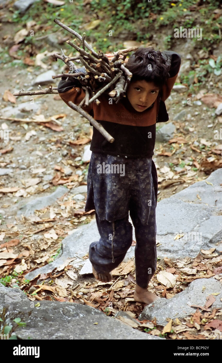 Child labour nepal hi-res stock photography and images - Alamy