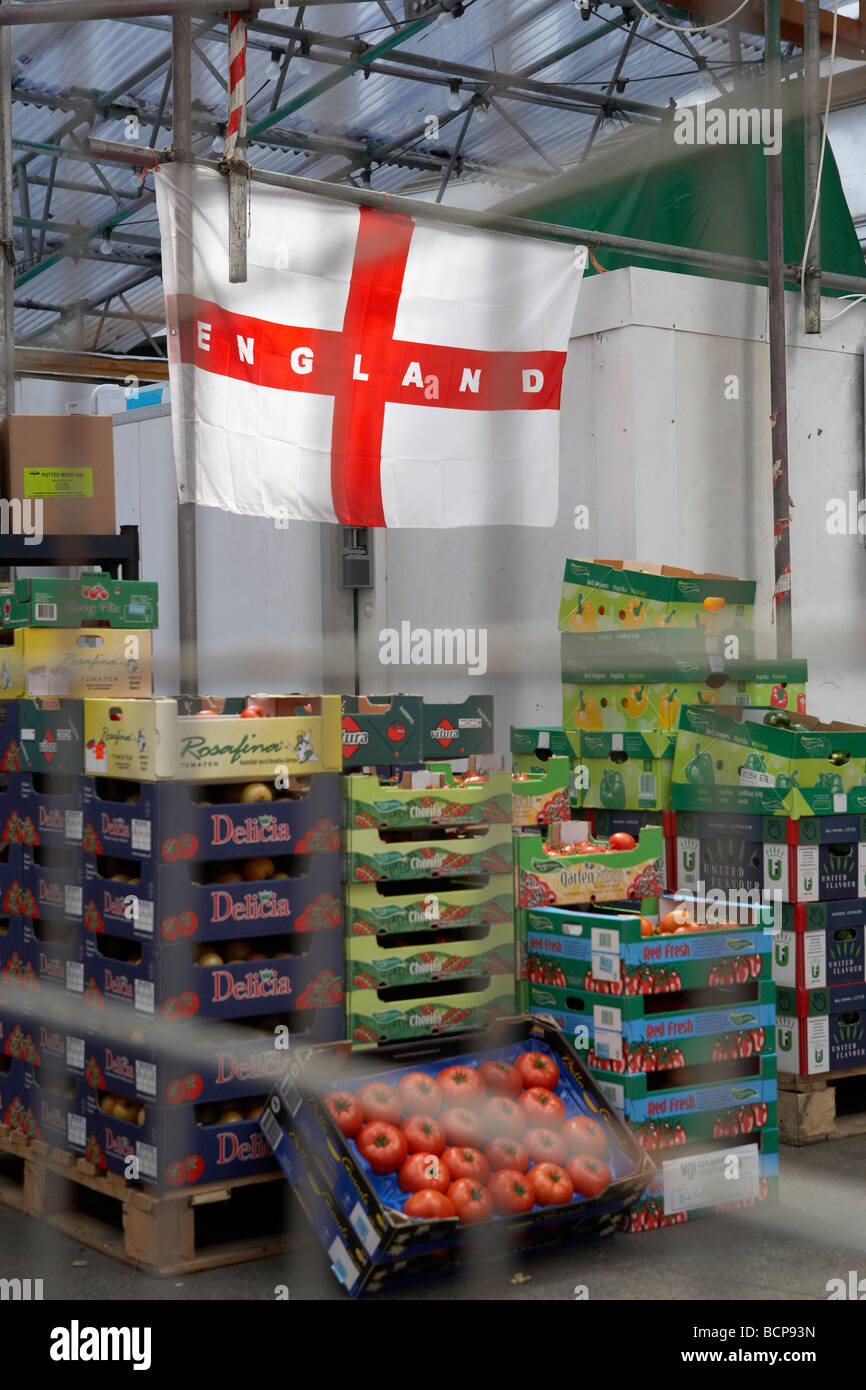 Hanging up a flag hi-res stock photography and images - Alamy