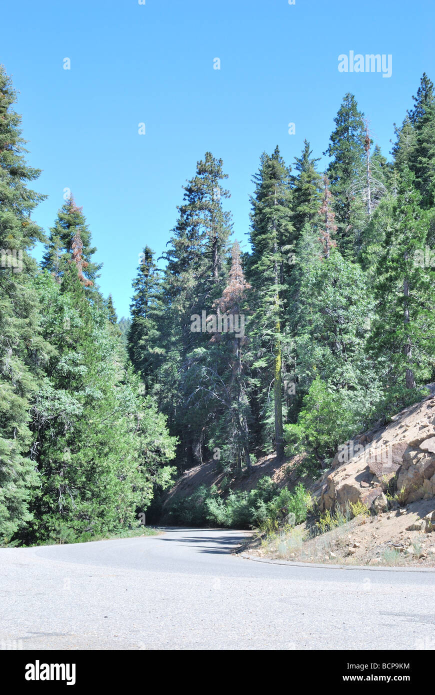 Oakhurst road hi-res stock photography and images - Alamy