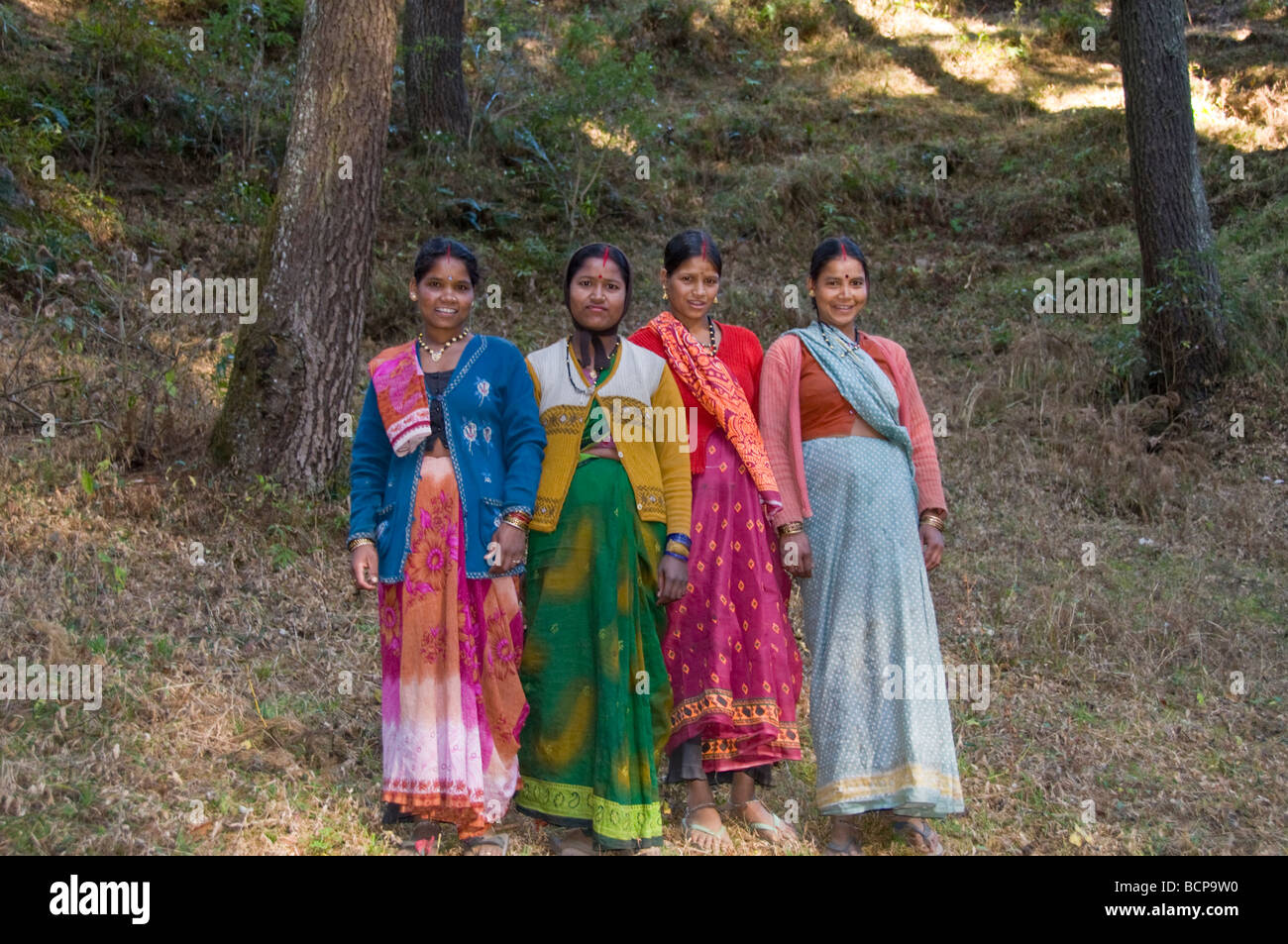 Indian Woman gathering moss in the Forest, Himalayan, Foothills, Hill ...