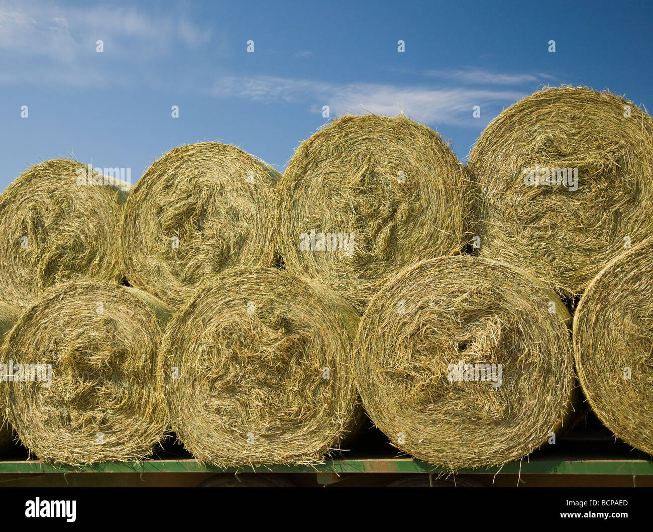 Trailer animal hi-res stock photography and images - Alamy