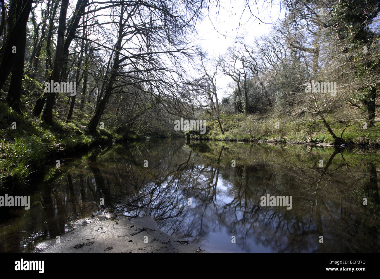 River Camel, Dunmere Stock Photo - Alamy