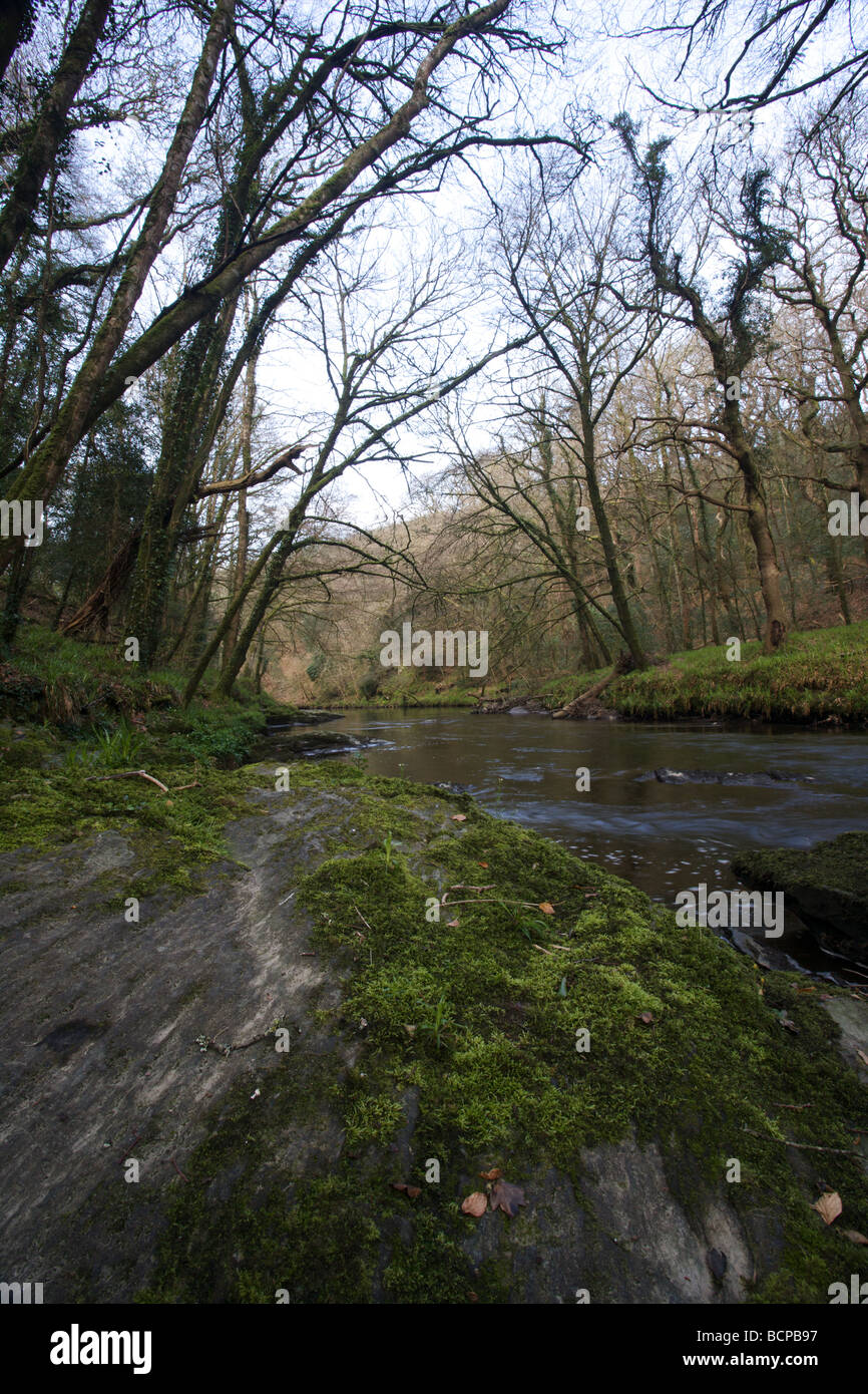 River Camel, Dunmere Stock Photo - Alamy
