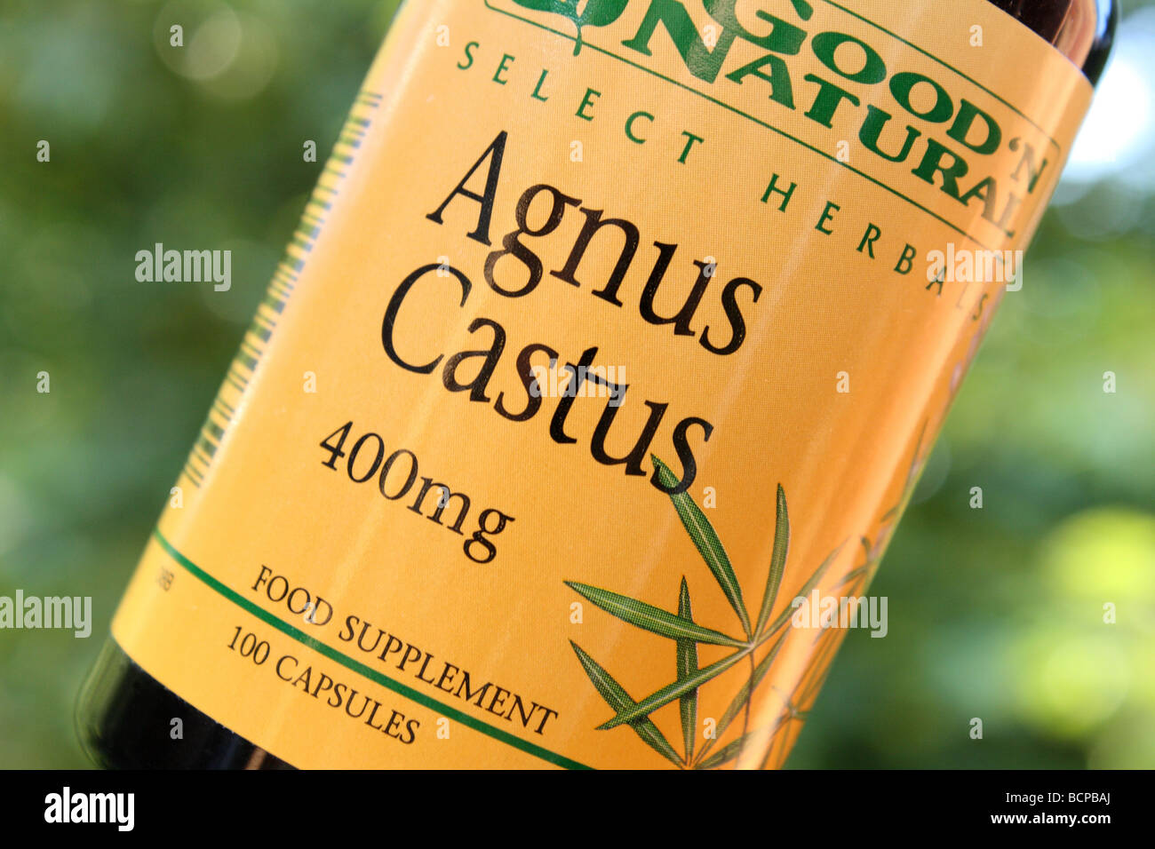 Castus hi-res stock photography and images - Alamy