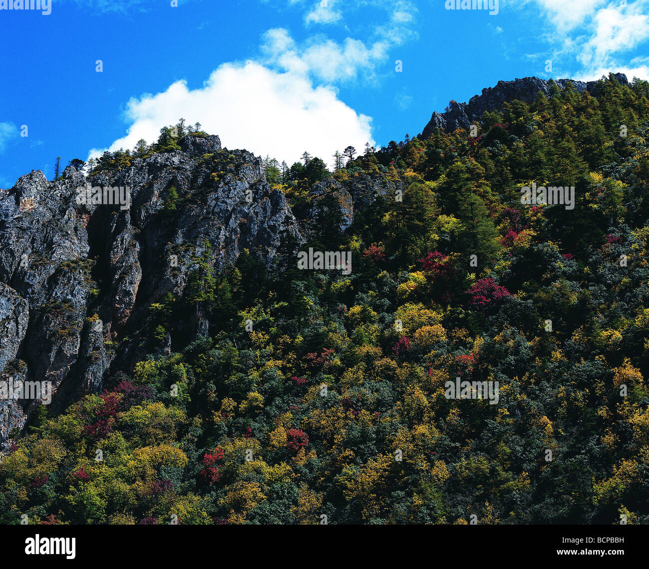 Bama county hi-res stock photography and images - Alamy