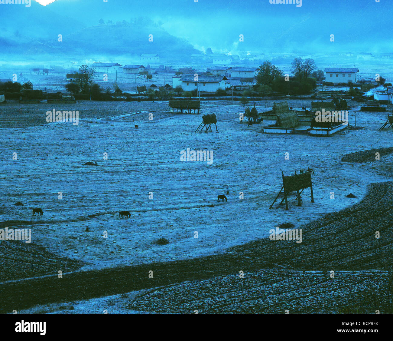 Tibetan village in Shangri-la, DiQing Tibetan Autonomous Prefecture ...