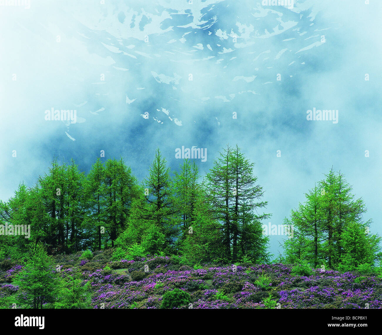 Bama county hi-res stock photography and images - Alamy