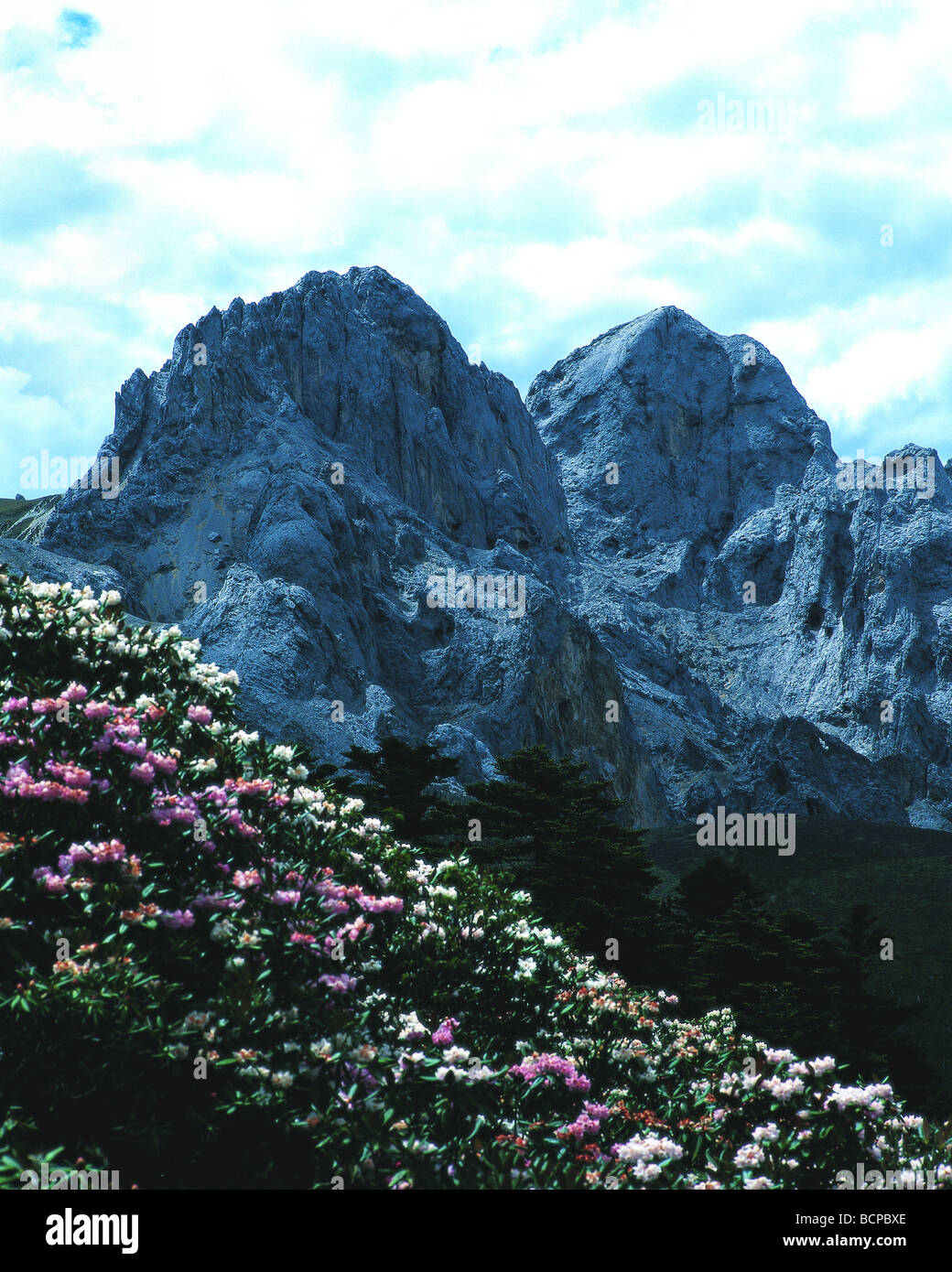 Shangri la and diqing autonomous prefecture snow mountain hi-res stock ...