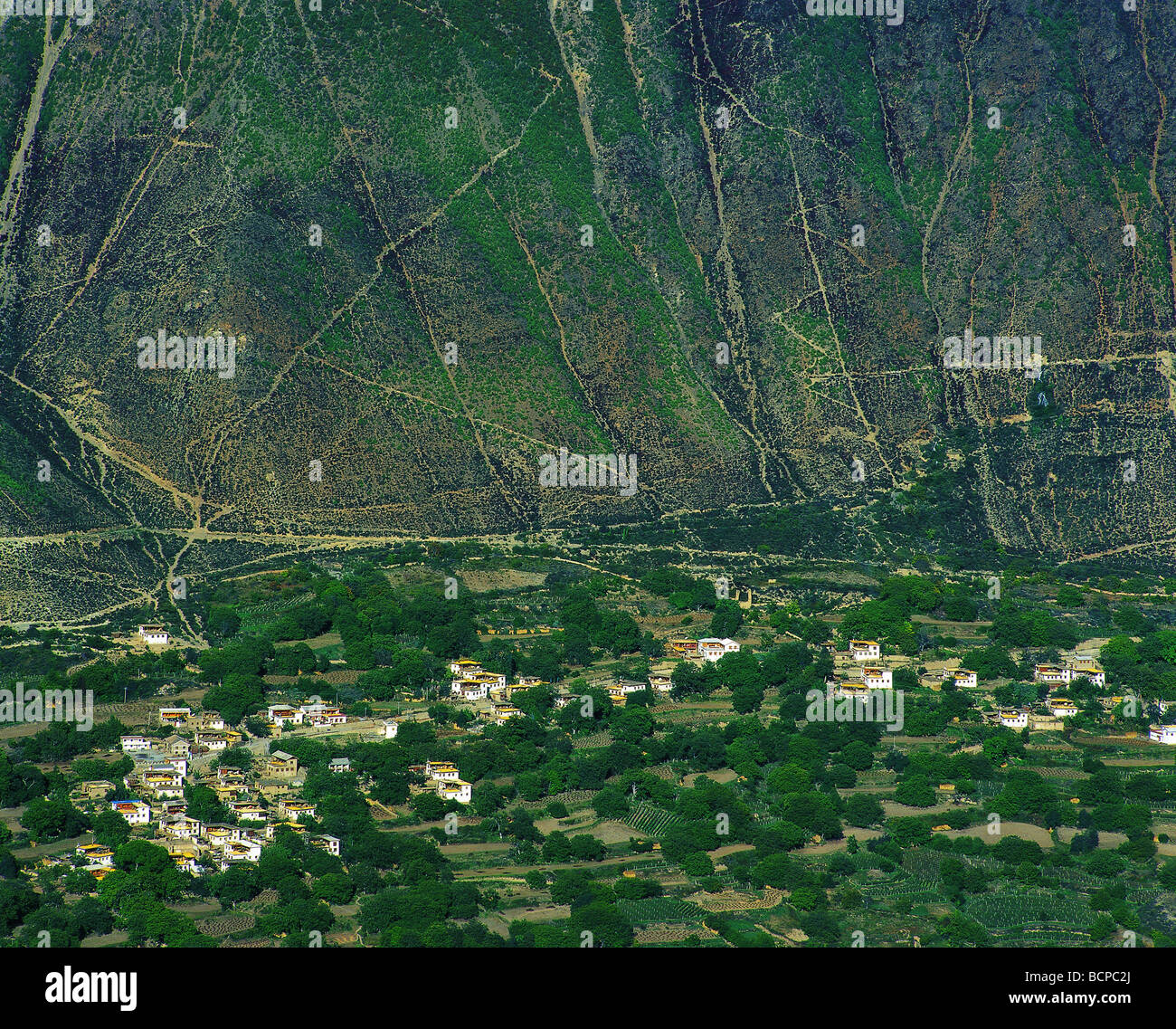 Sinong hi-res stock photography and images - Alamy