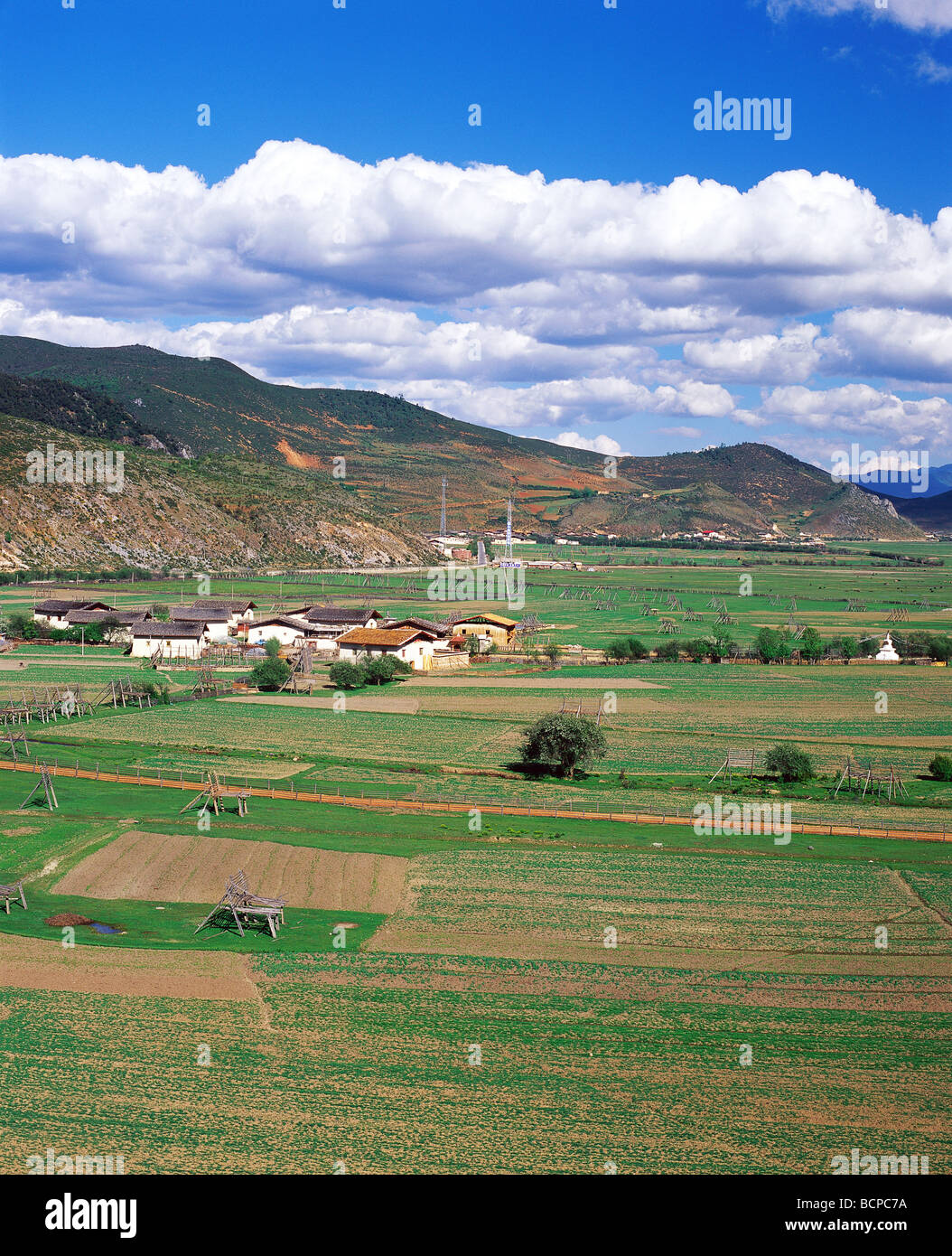 Splendid landscape of Napahai Lake, Shangri-la County, DiQing Tibetan ...