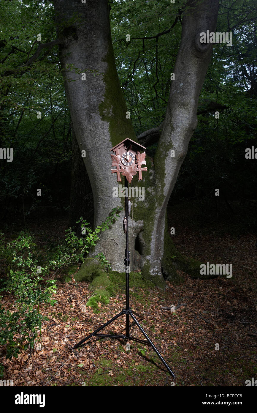 Cuckoo clock on a stand in the woods Stock Photo - Alamy