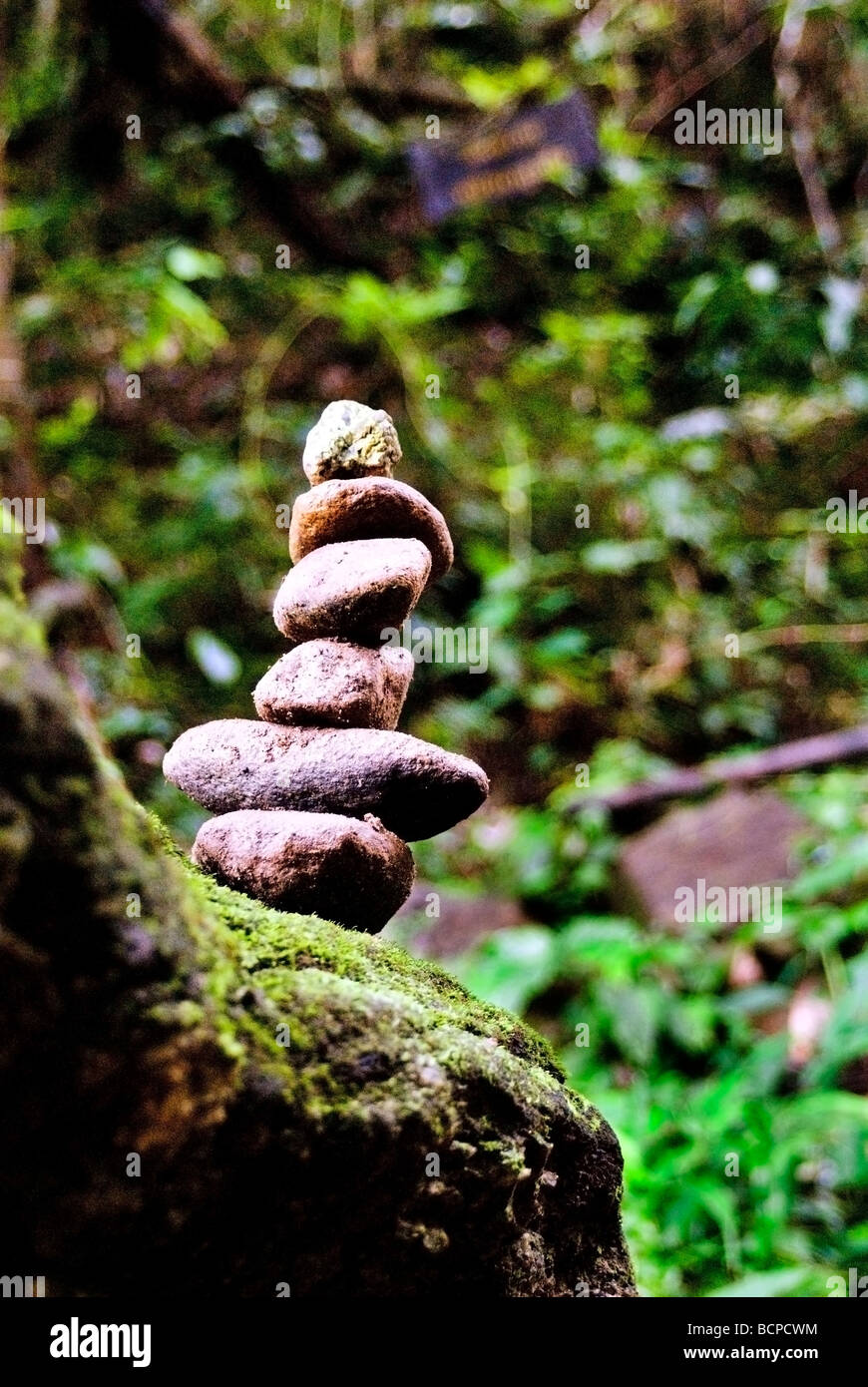 a small stack of rocks in a forest setting Stock Photo - Alamy