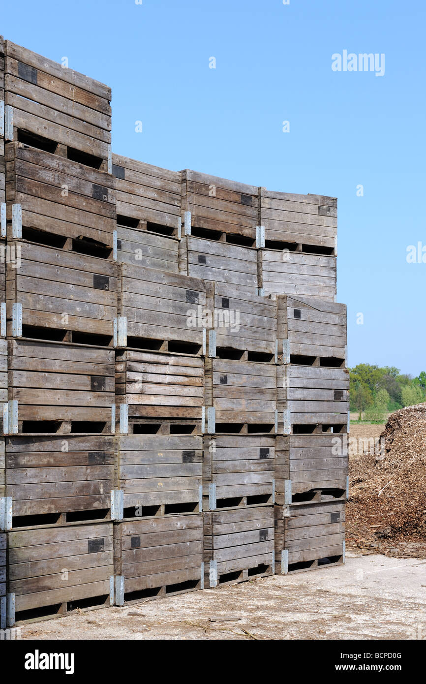 Empty fruit crates hi-res stock photography and images - Alamy