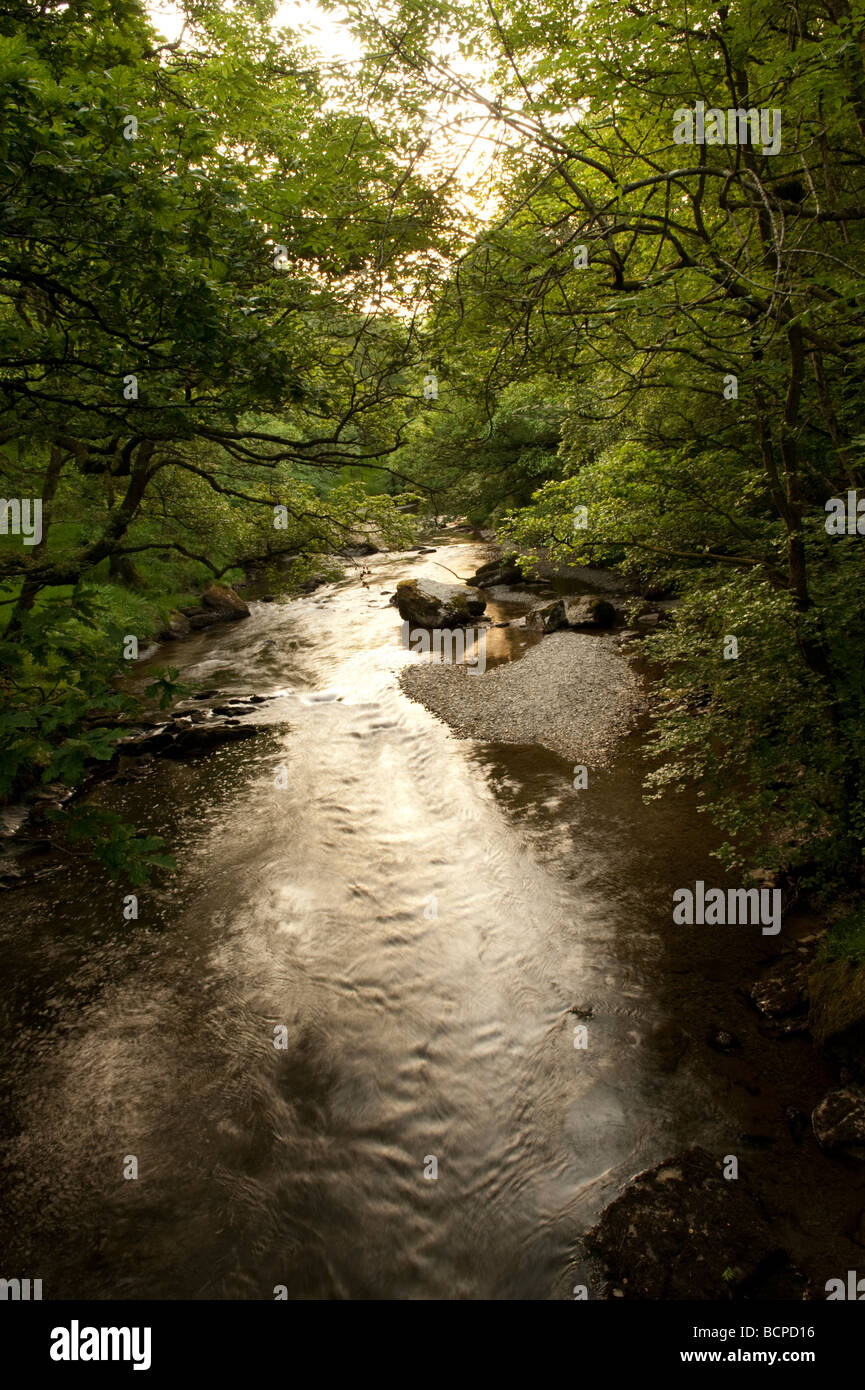 River Wye flowing through old oak woods summer evening Powys Wales UK ...