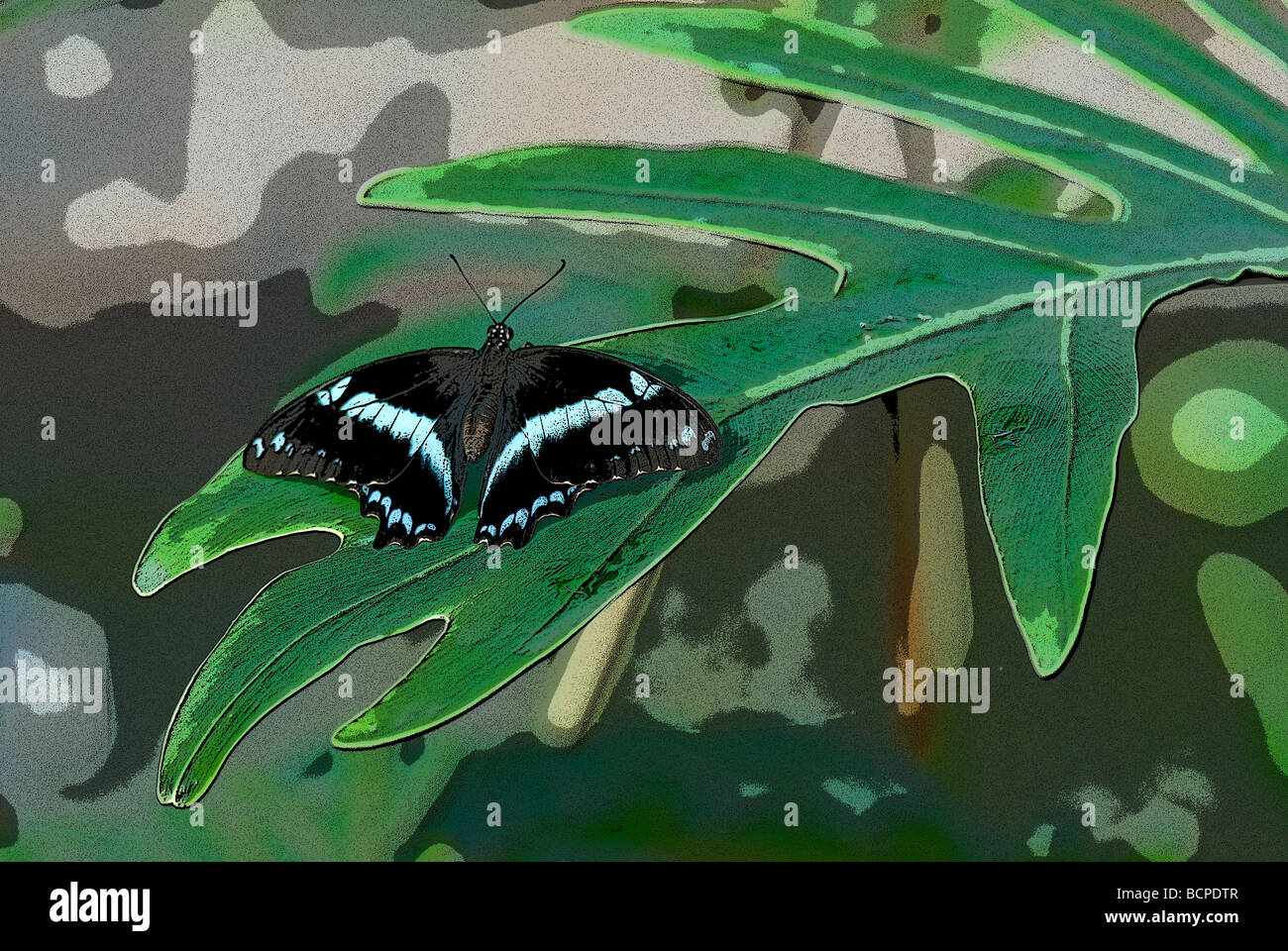 Digitally modified image of butter fly wings Stock Photo - Alamy