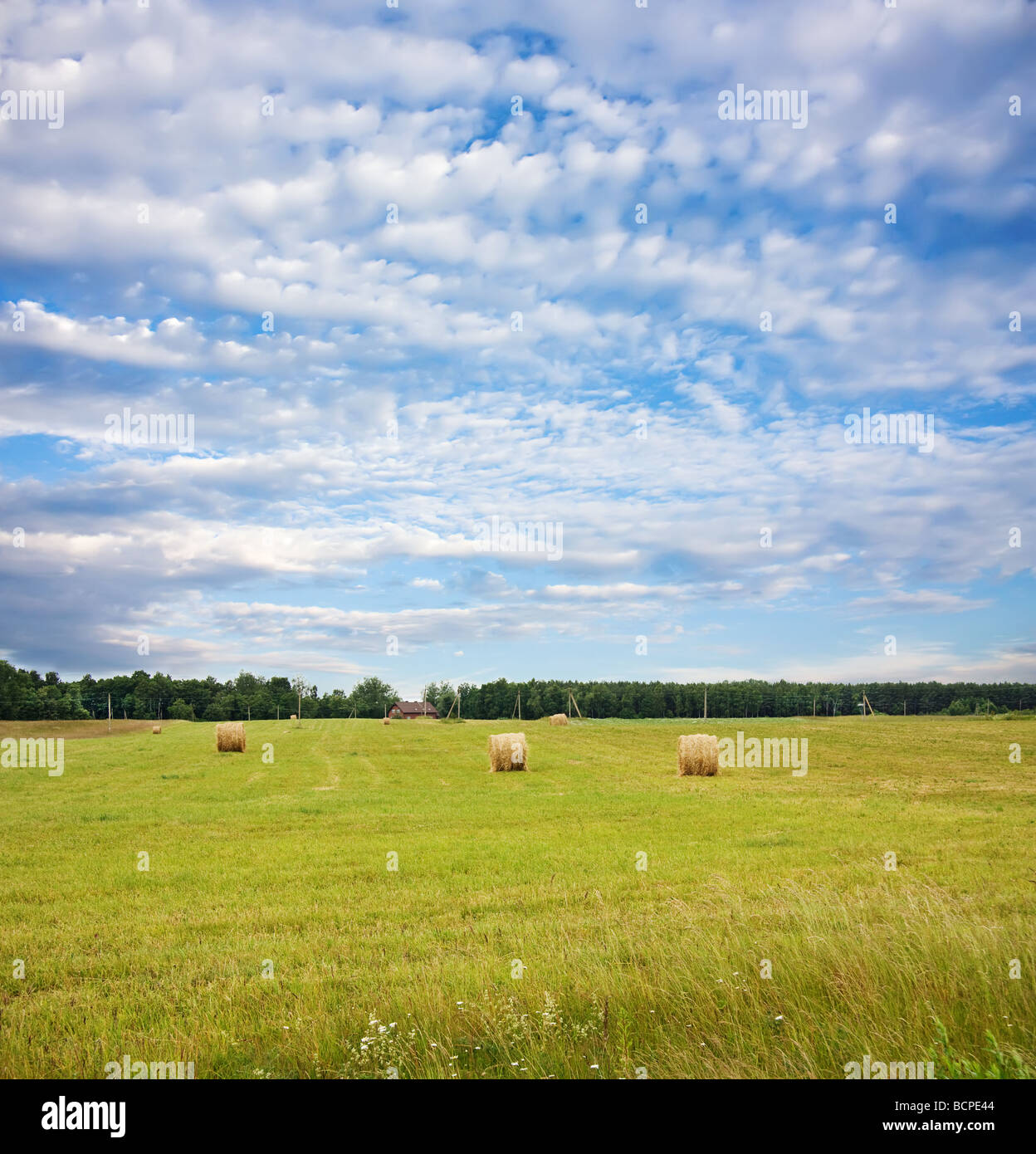 hay rural landscape Stock Photo - Alamy