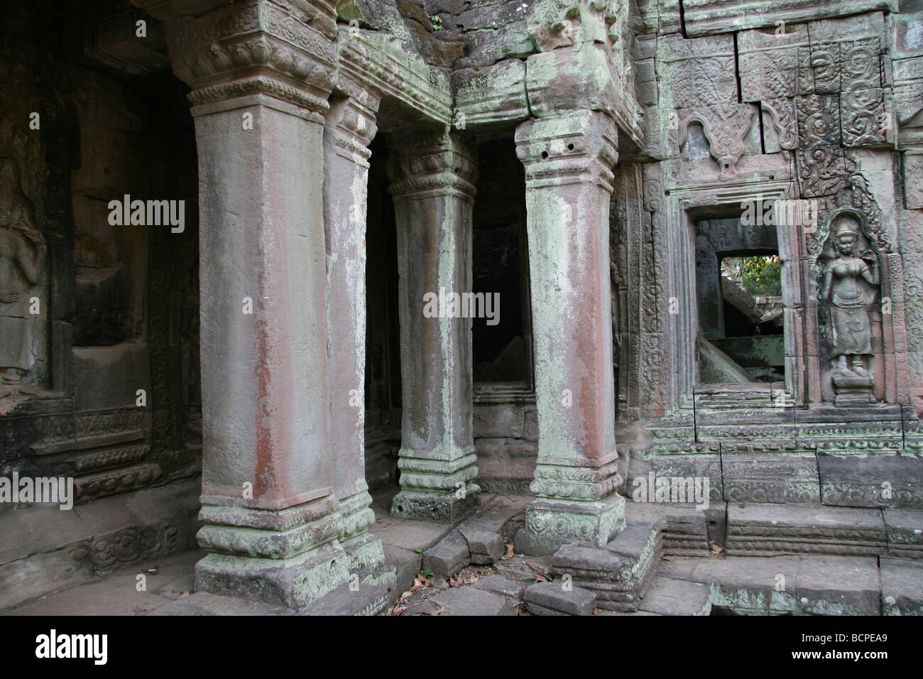 Ta Prohm ruins, old temple in Cambodia, near Angkor Wat Stock Photo - Alamy