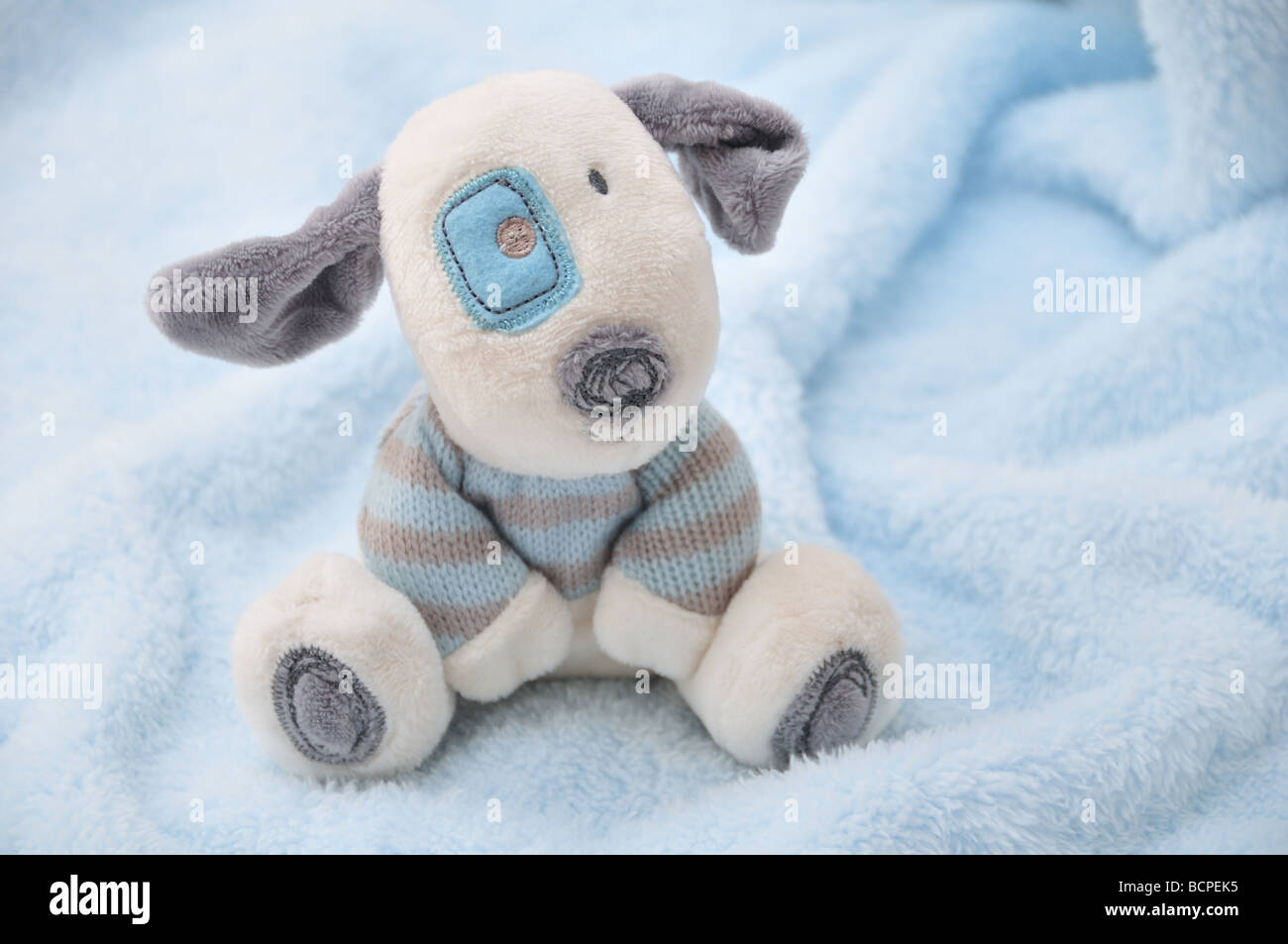 Cute baby toy dog blue Stock Photo - Alamy
