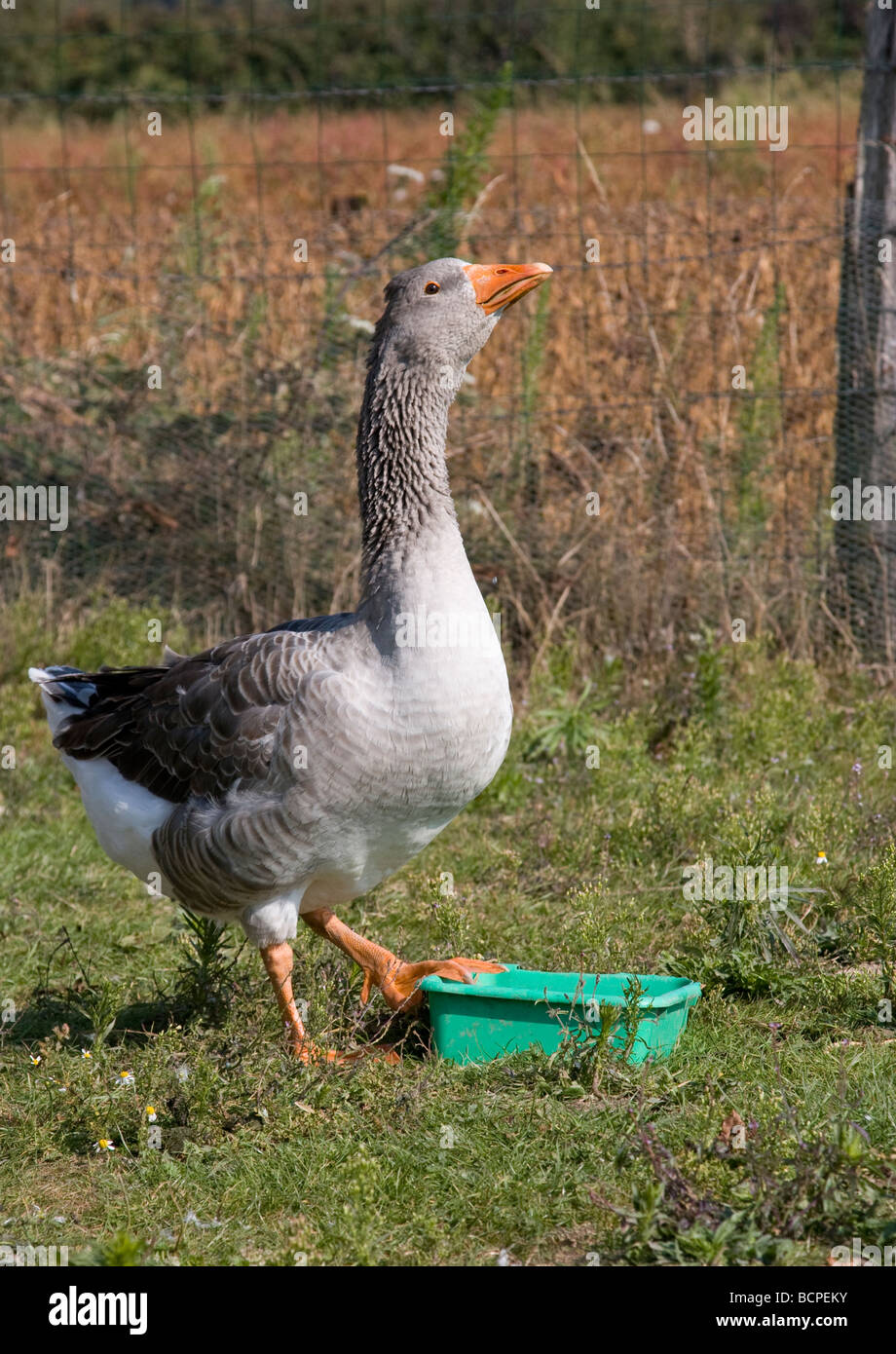 Defensive warning hi-res stock photography and images - Alamy