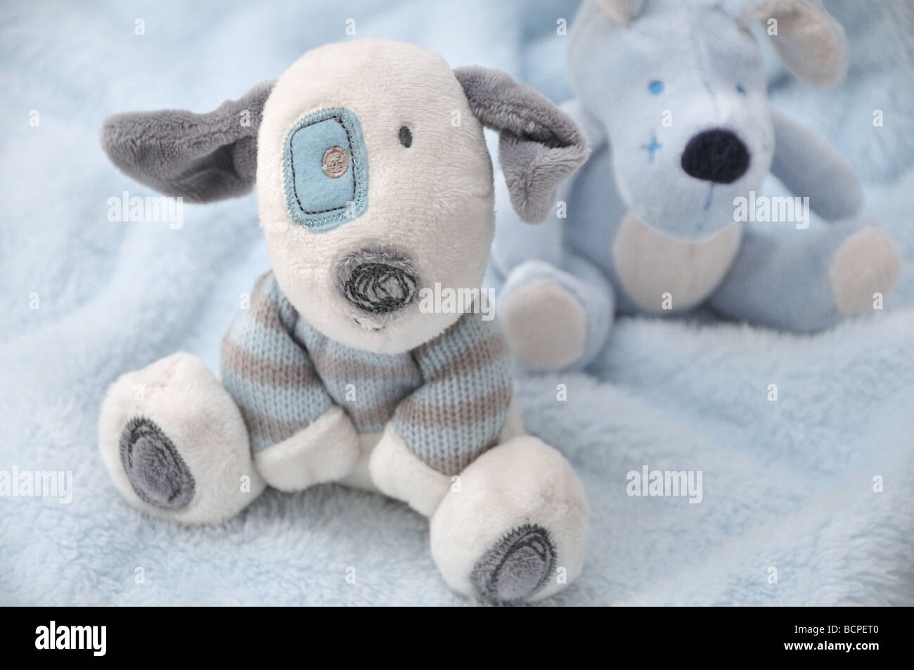 Cute baby toy dog blue Stock Photo - Alamy