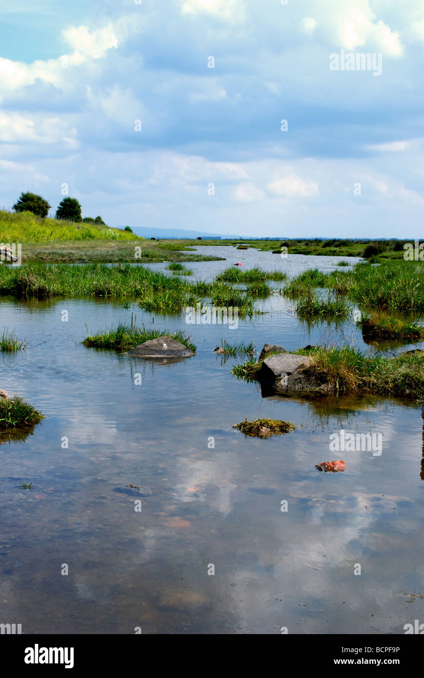 Reflections and water over the marsh Stock Photo - Alamy