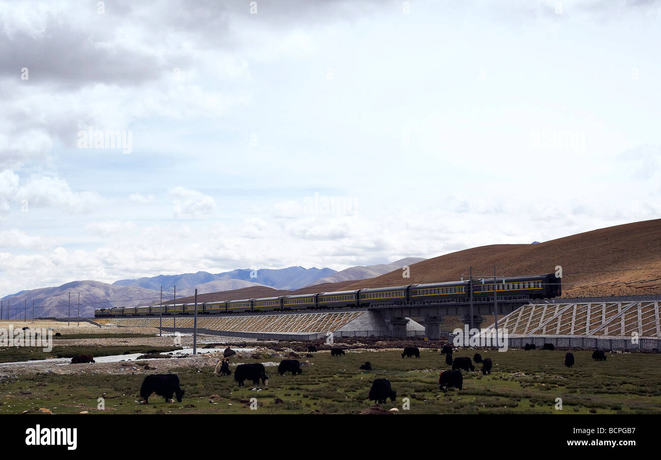 Qingzang railway train hi-res stock photography and images - Alamy