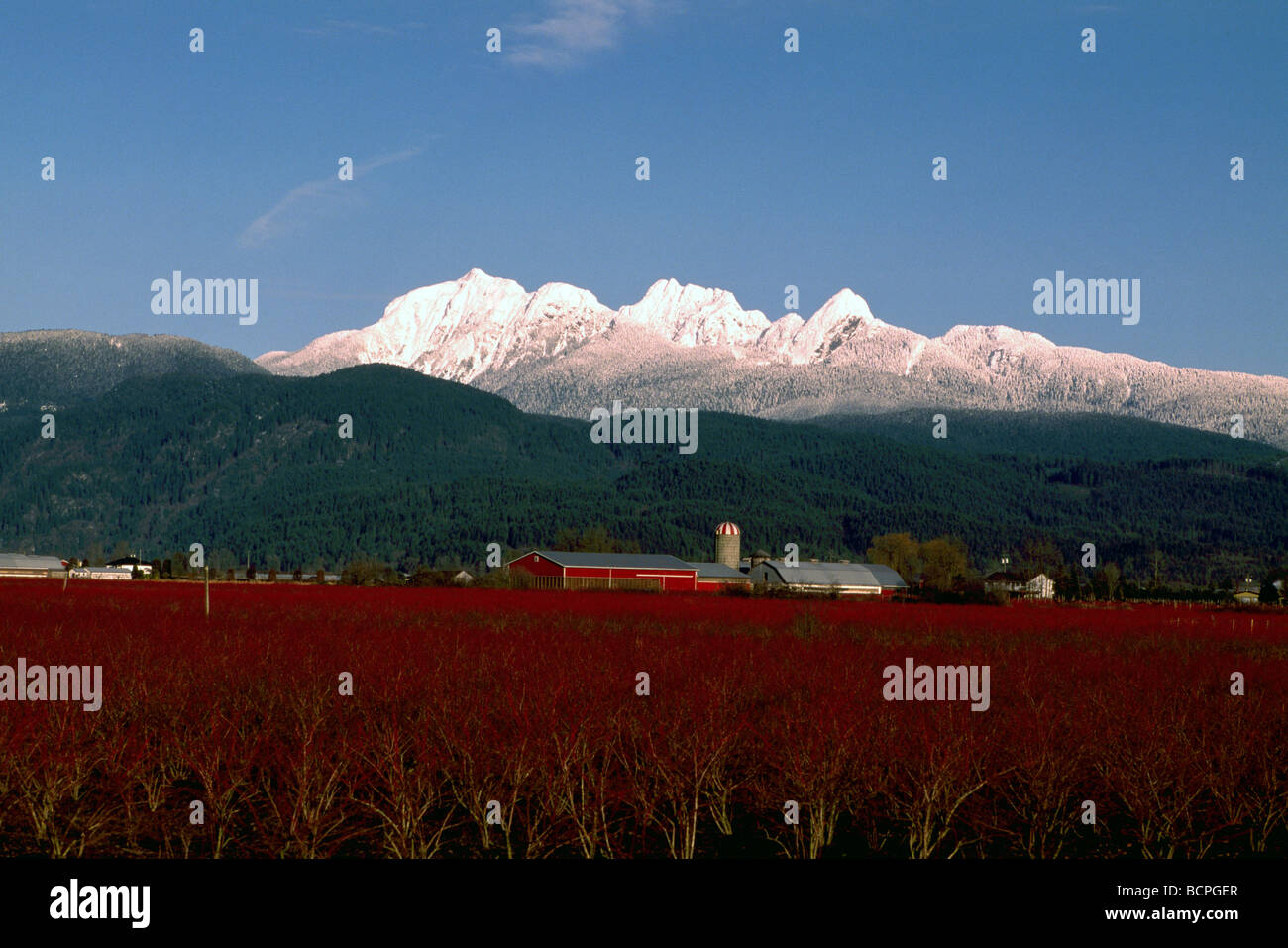 Fraser Valley, BC British Columbia, Canada - "Golden Ears" Mountain ...