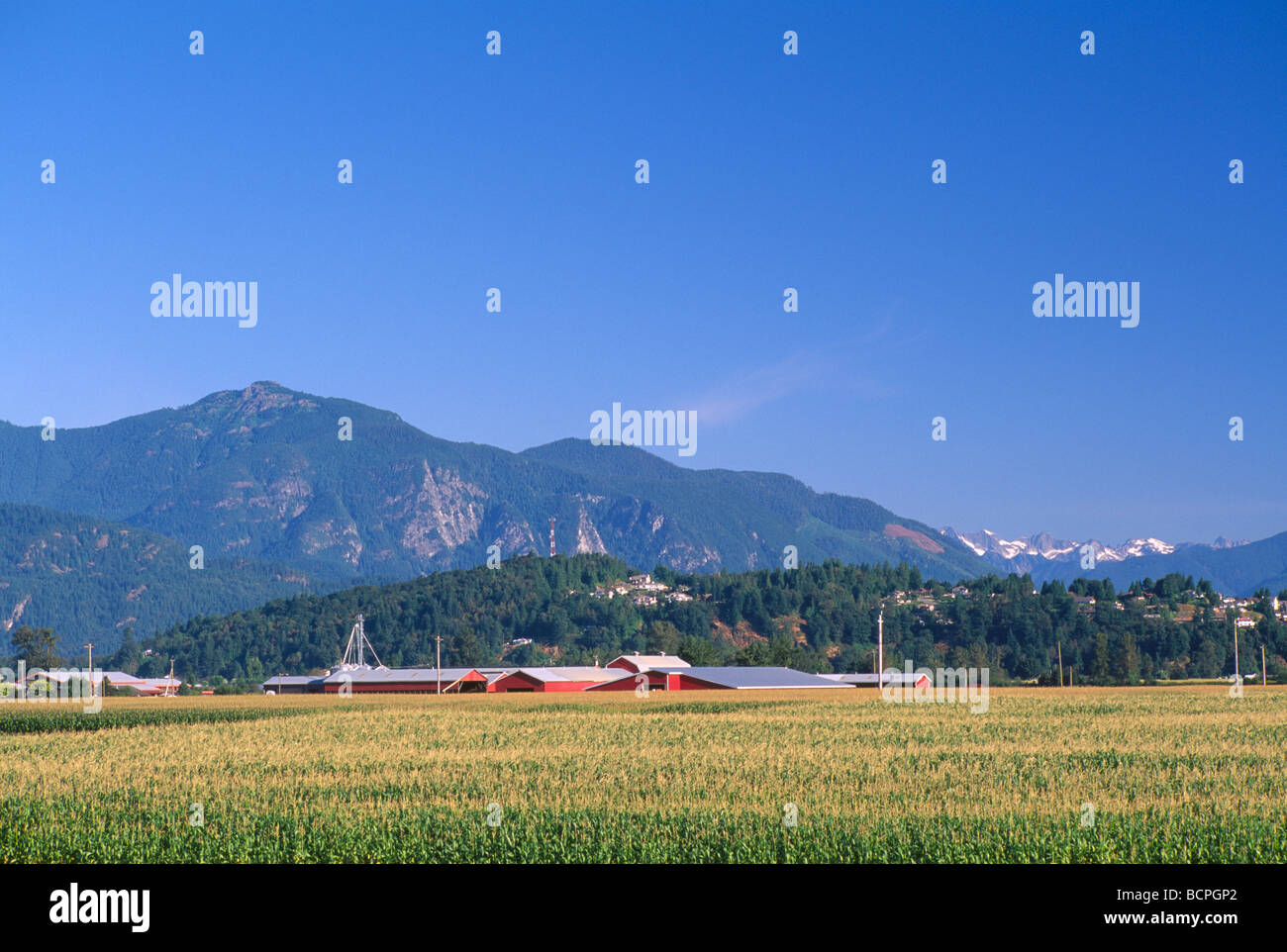 British columbia farm scenes hi-res stock photography and images - Alamy
