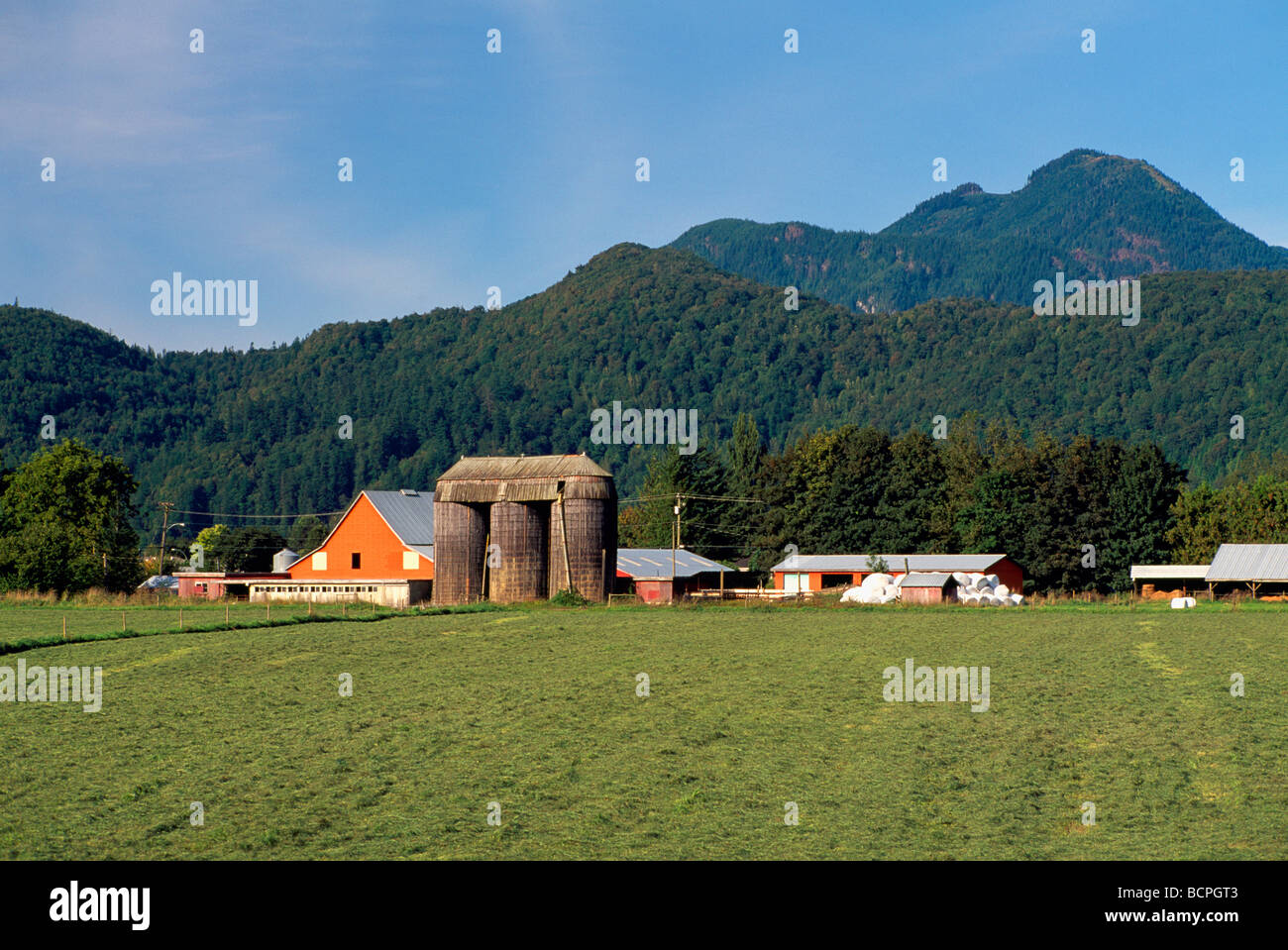 Orange Barn and Silos on a Farm near Agassiz in the Fraser Valley of ...