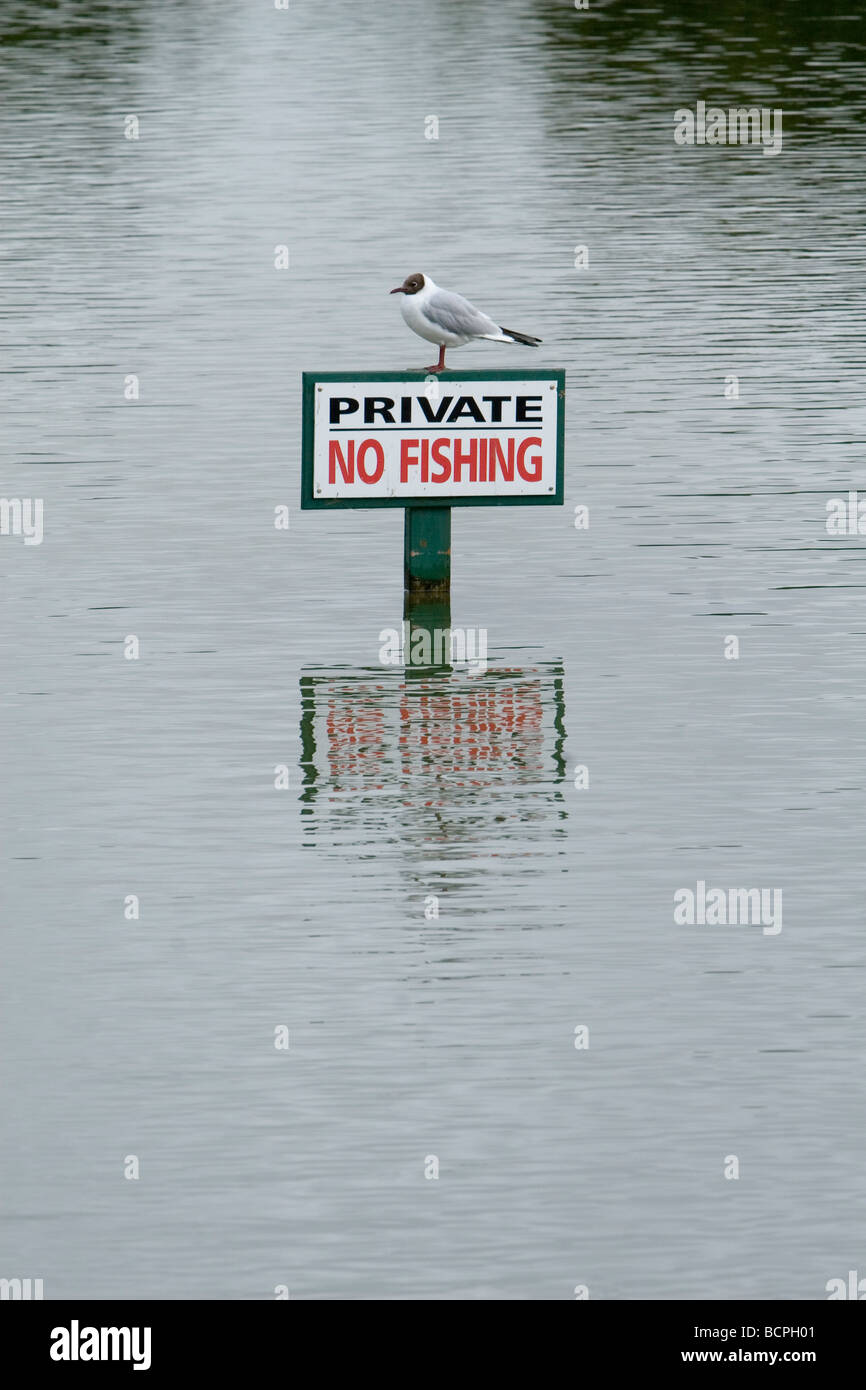 Private no fishing sign hi-res stock photography and images - Alamy