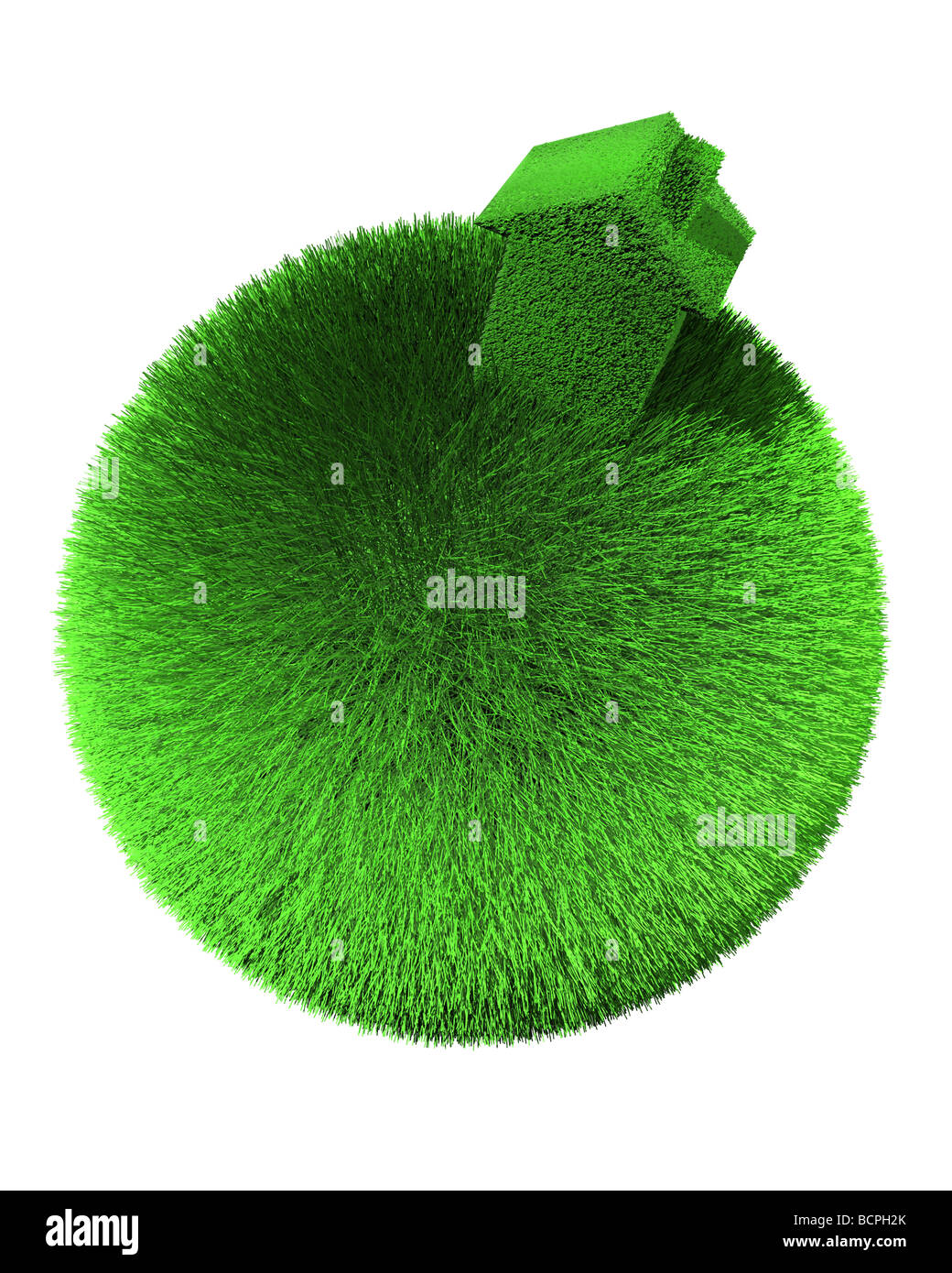 Loan grass Cut Out Stock Images & Pictures - Alamy