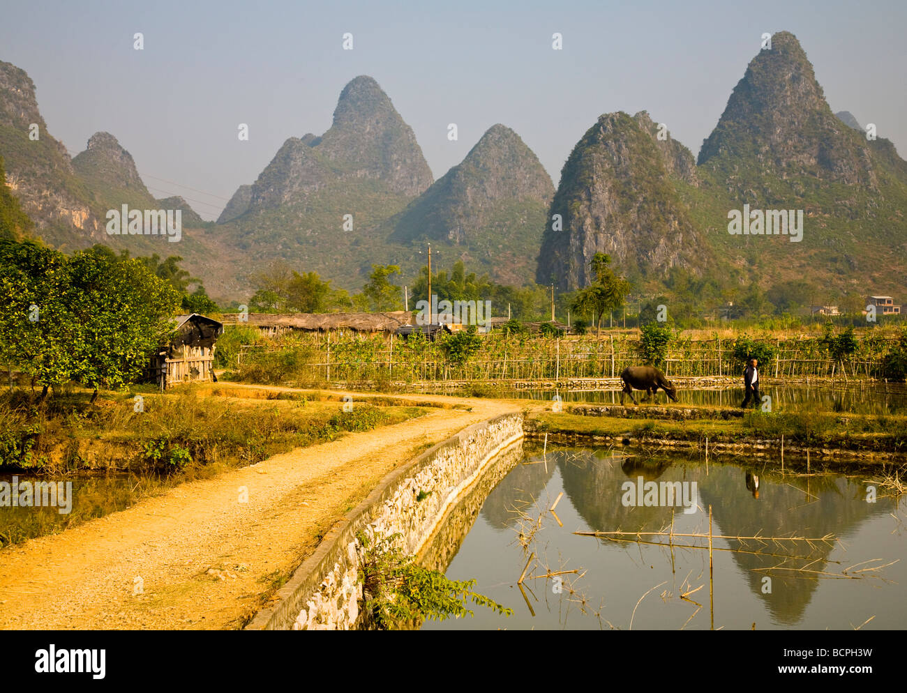 China Guangxi Zhuang Autonomous Region Yangshuo County Agriculture ...