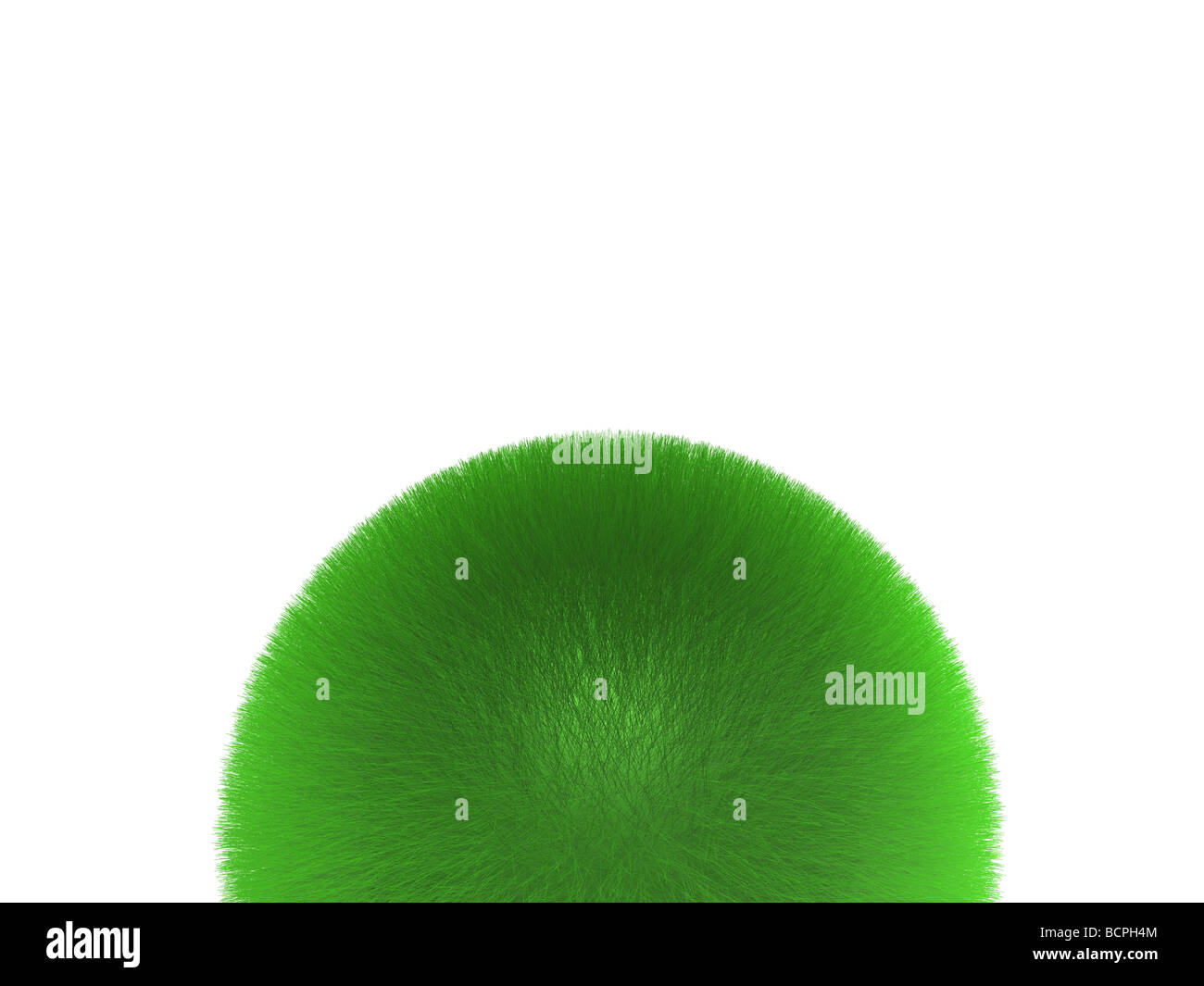 sphere of grass on white background Stock Photo - Alamy