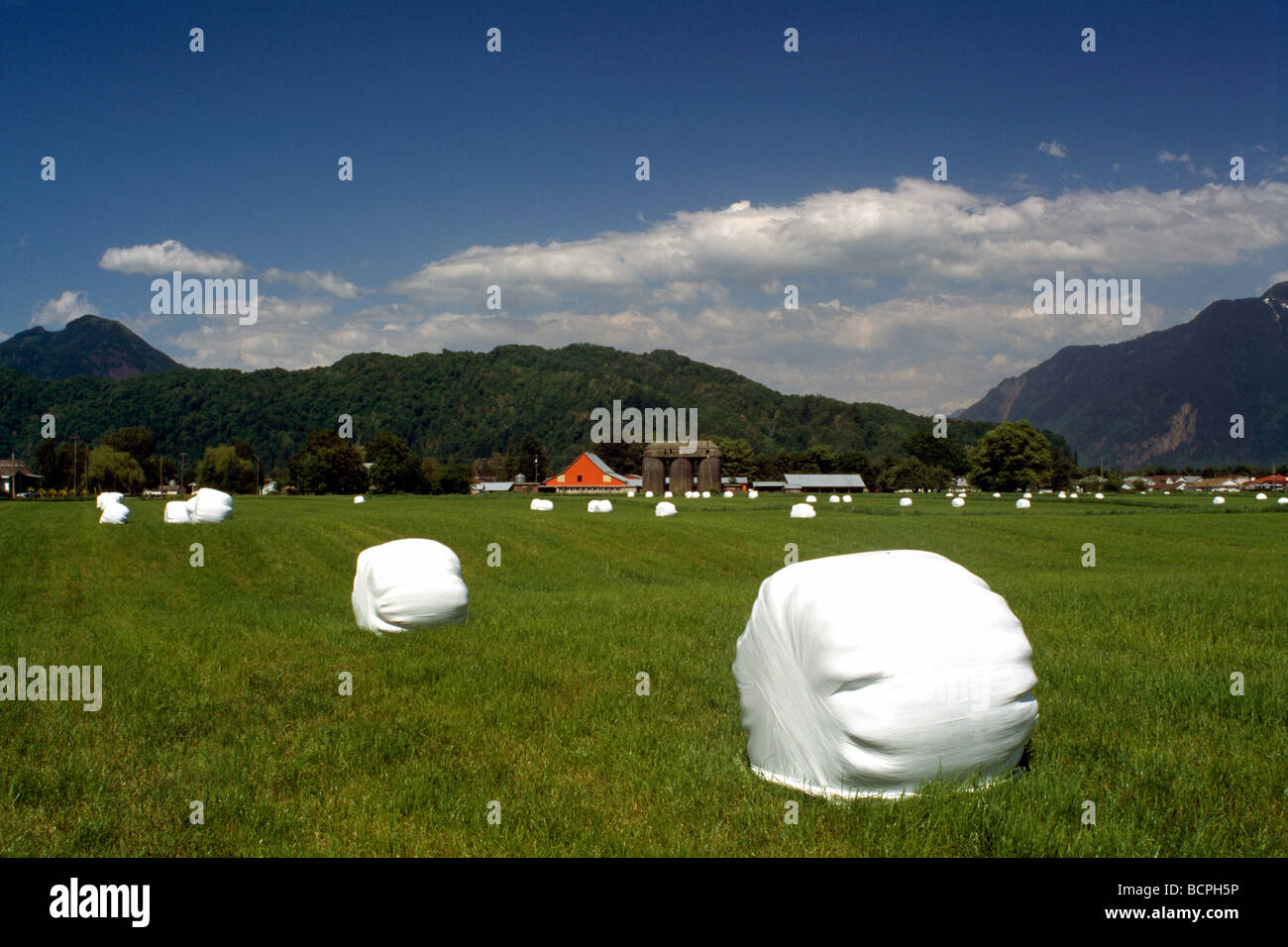 Agassiz british columbia hi-res stock photography and images - Alamy