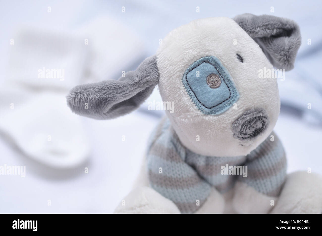 Cute baby toy dog blue Stock Photo - Alamy