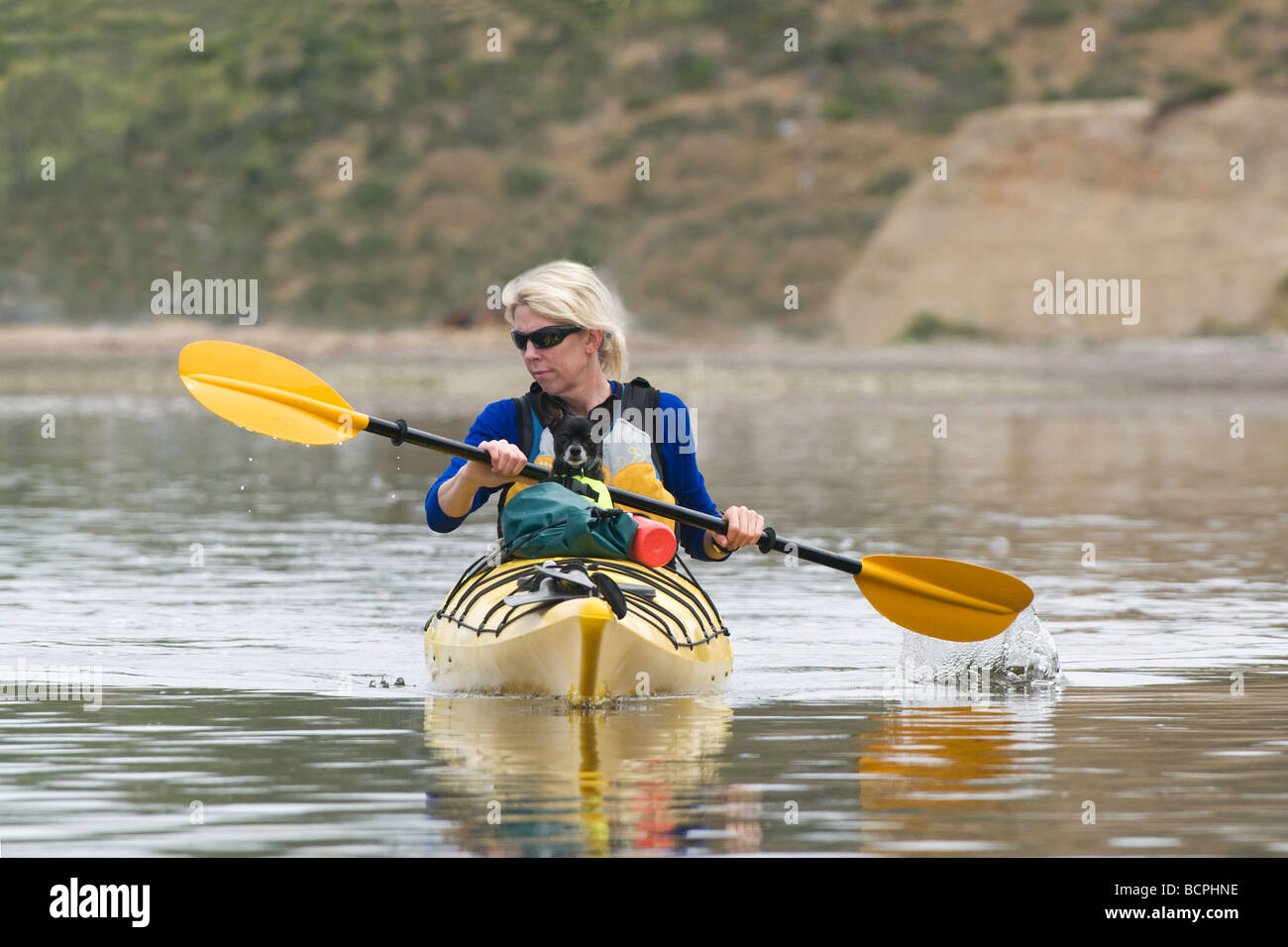 kayaking with a dog Stock Photo - Alamy