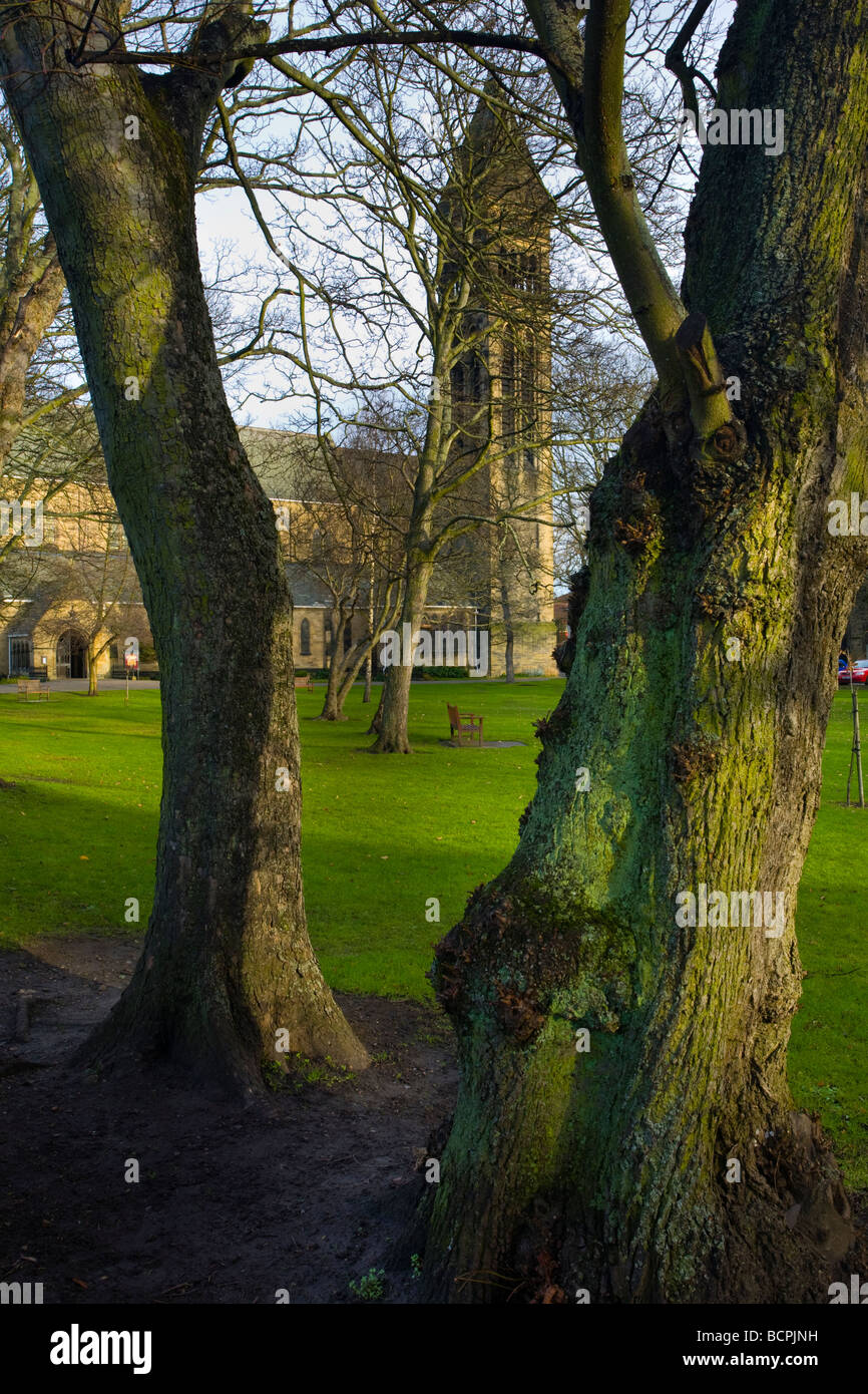 At jesmond parish church hi-res stock photography and images - Alamy