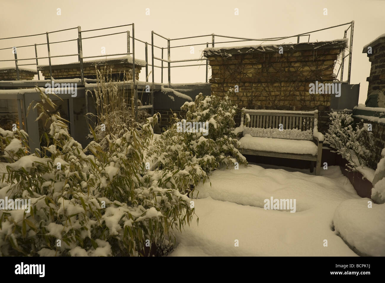 Dachgarten im Winter Rooftop Garden in Winter Stock Photo - Alamy