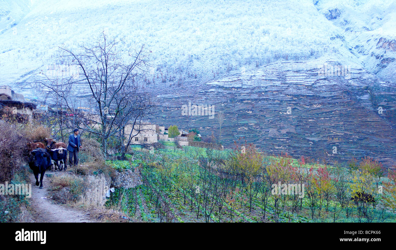 Wenchuan county hi-res stock photography and images - Alamy