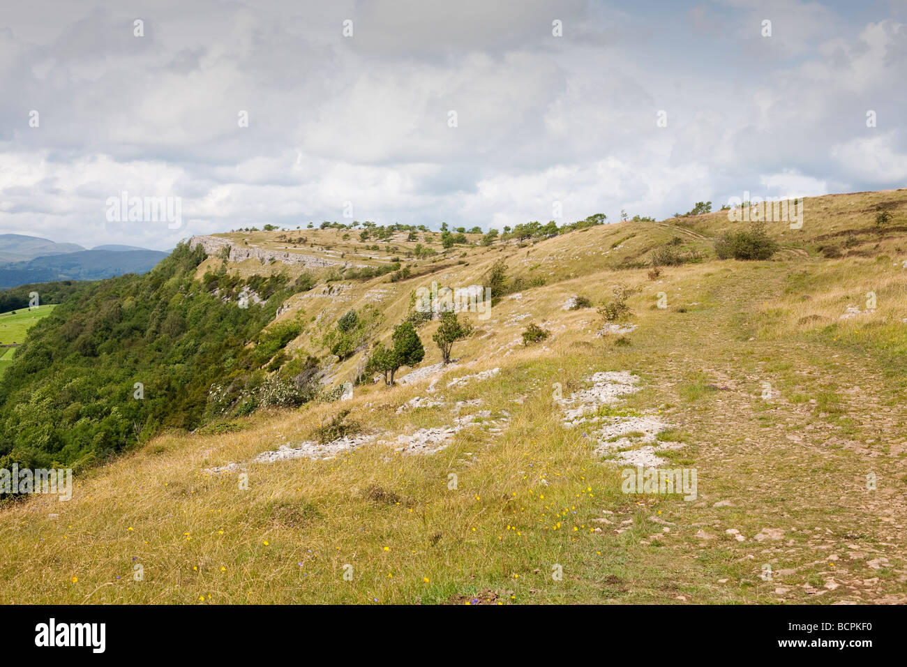 Scout scar a limestone escarpment on the outskirts of Kendal Cumbria UK ...