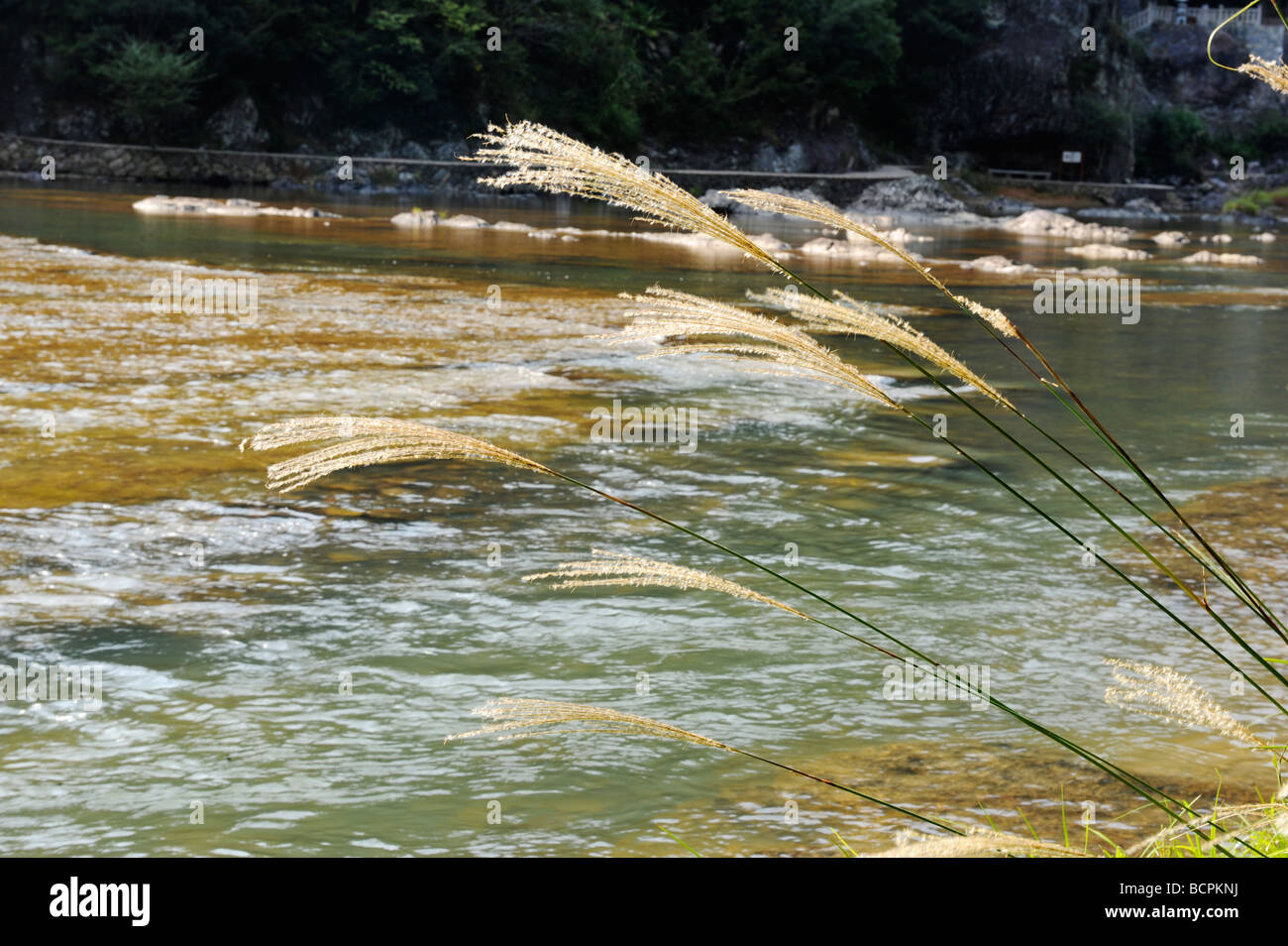 Pingnan china hi-res stock photography and images - Alamy