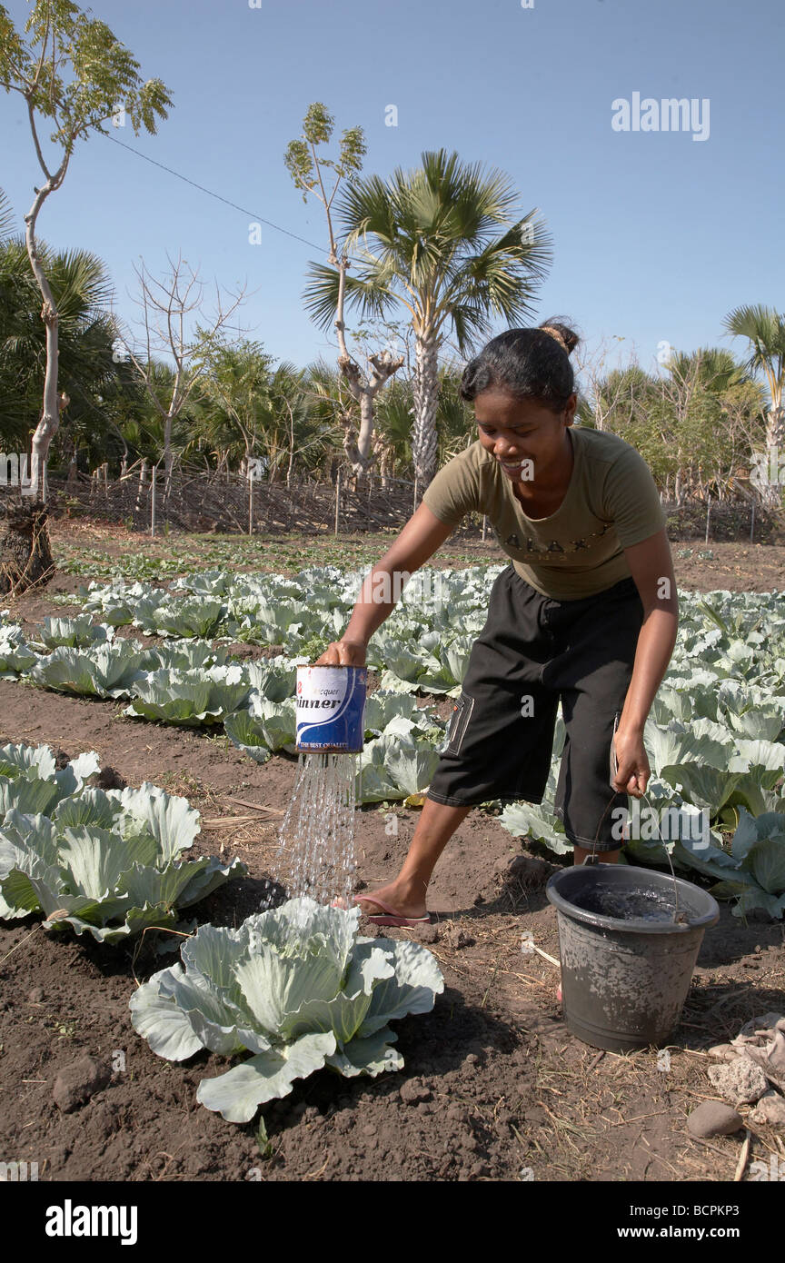 Girl of timor leste timor leste hi-res stock photography and images - Alamy
