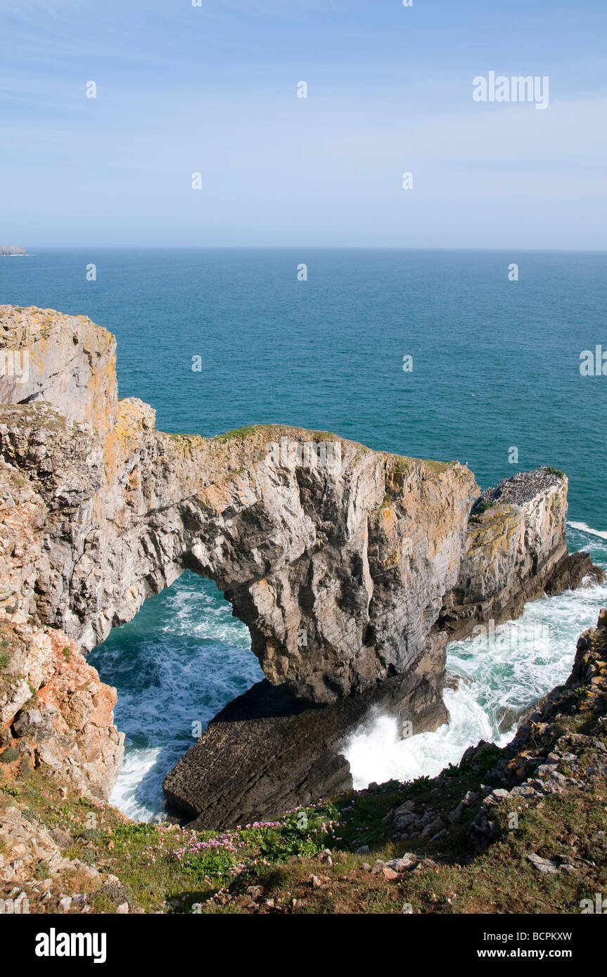 Green arch of Wales Pembrokeshire Stock Photo - Alamy