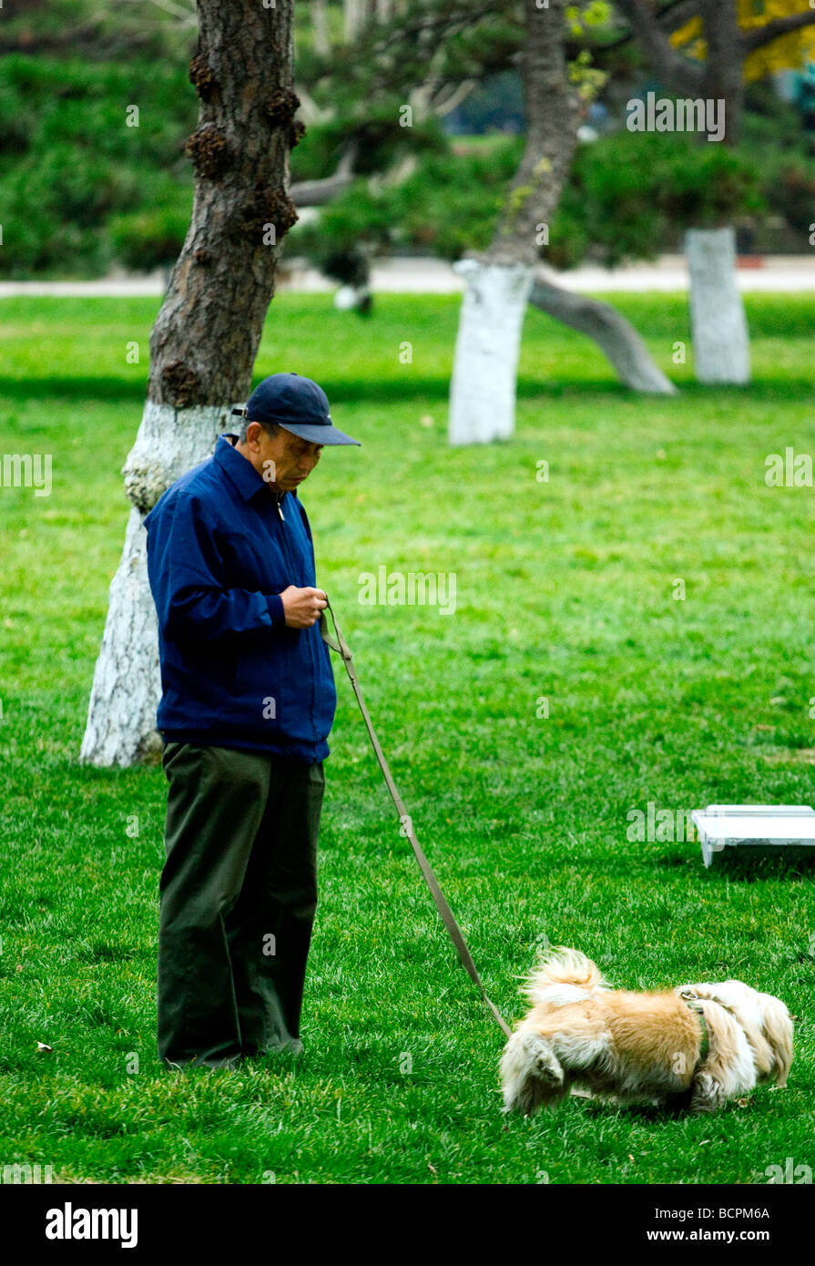 Elderly Chinese man walking dog in the park, Beijing, China Stock Photo ...