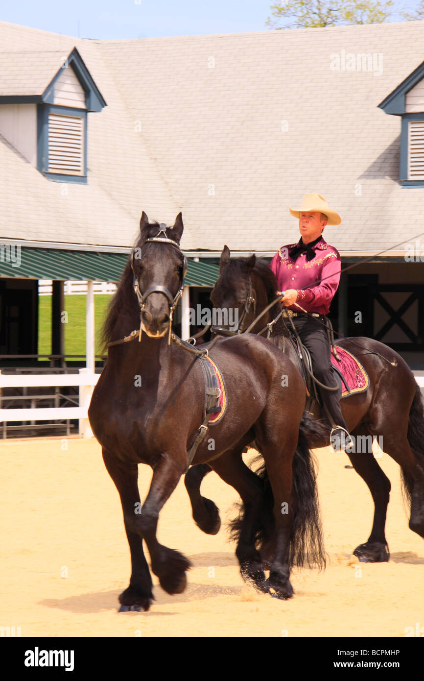 Rider performs with horses during Parade of Breeds Kentucky Horse Park ...