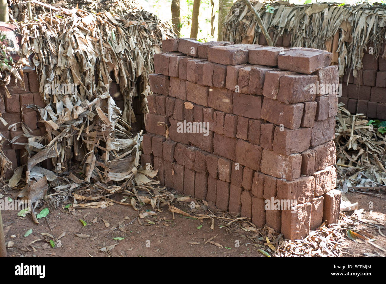 Drying mud hi-res stock photography and images - Alamy